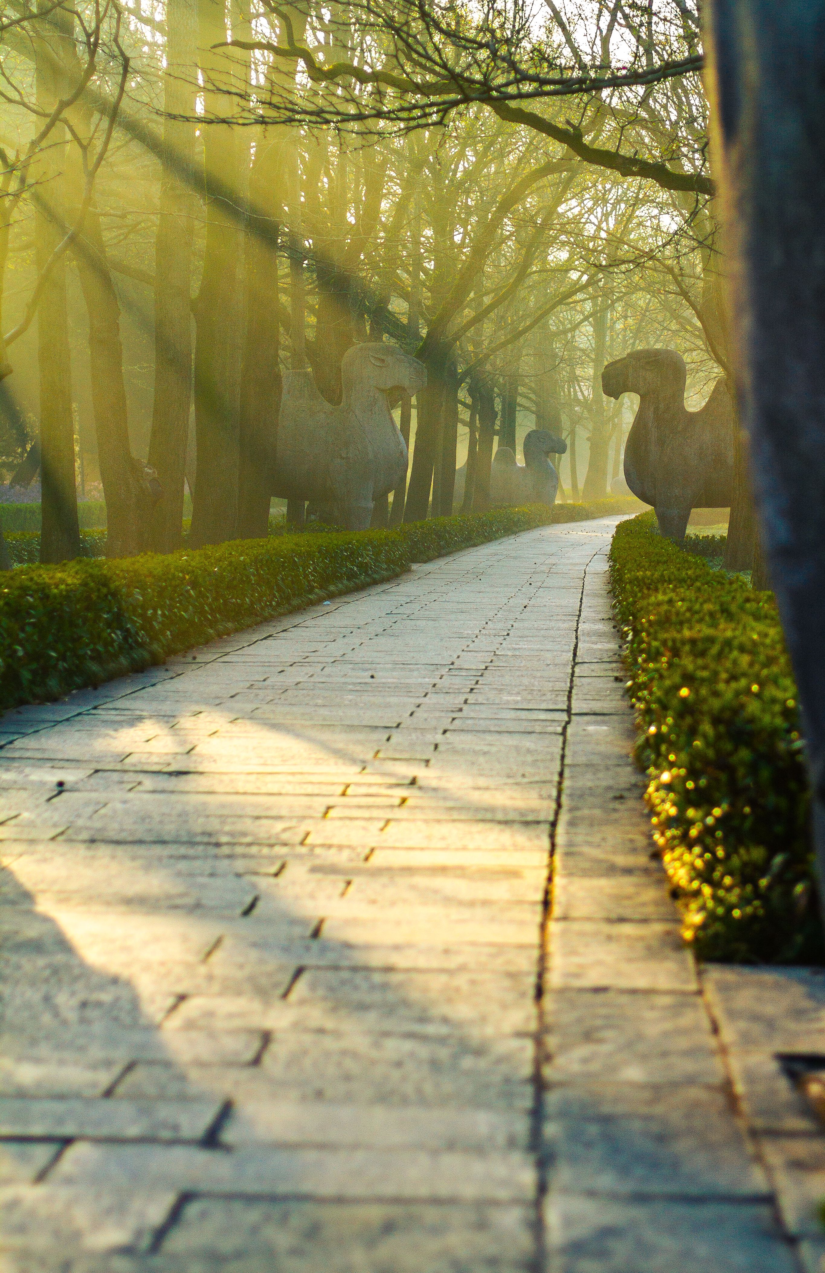 Stone Sculptures by the Alley in the Xiao Mausoleum · Free Stock Photo