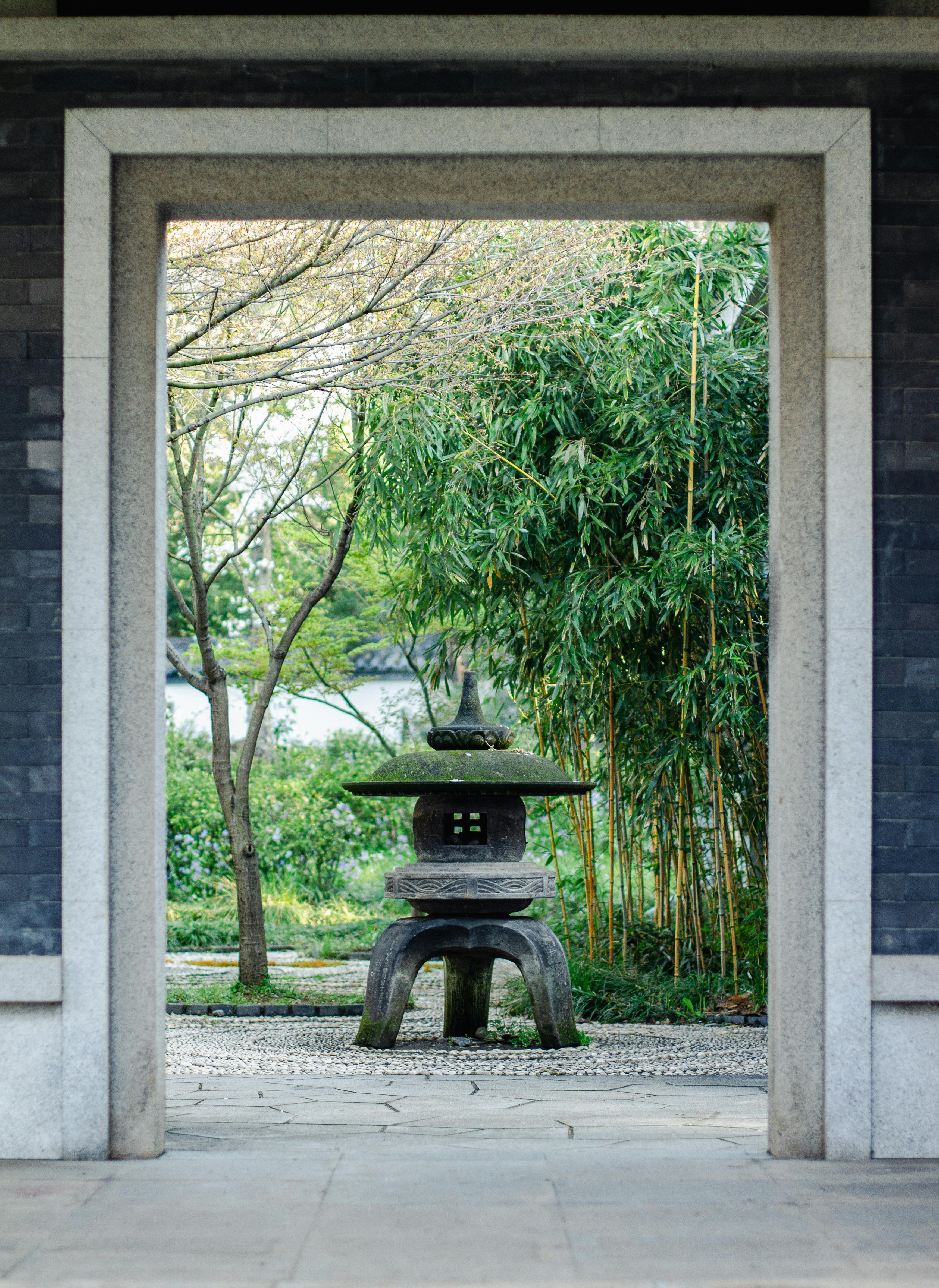 Cheng Shi Song - 摄影