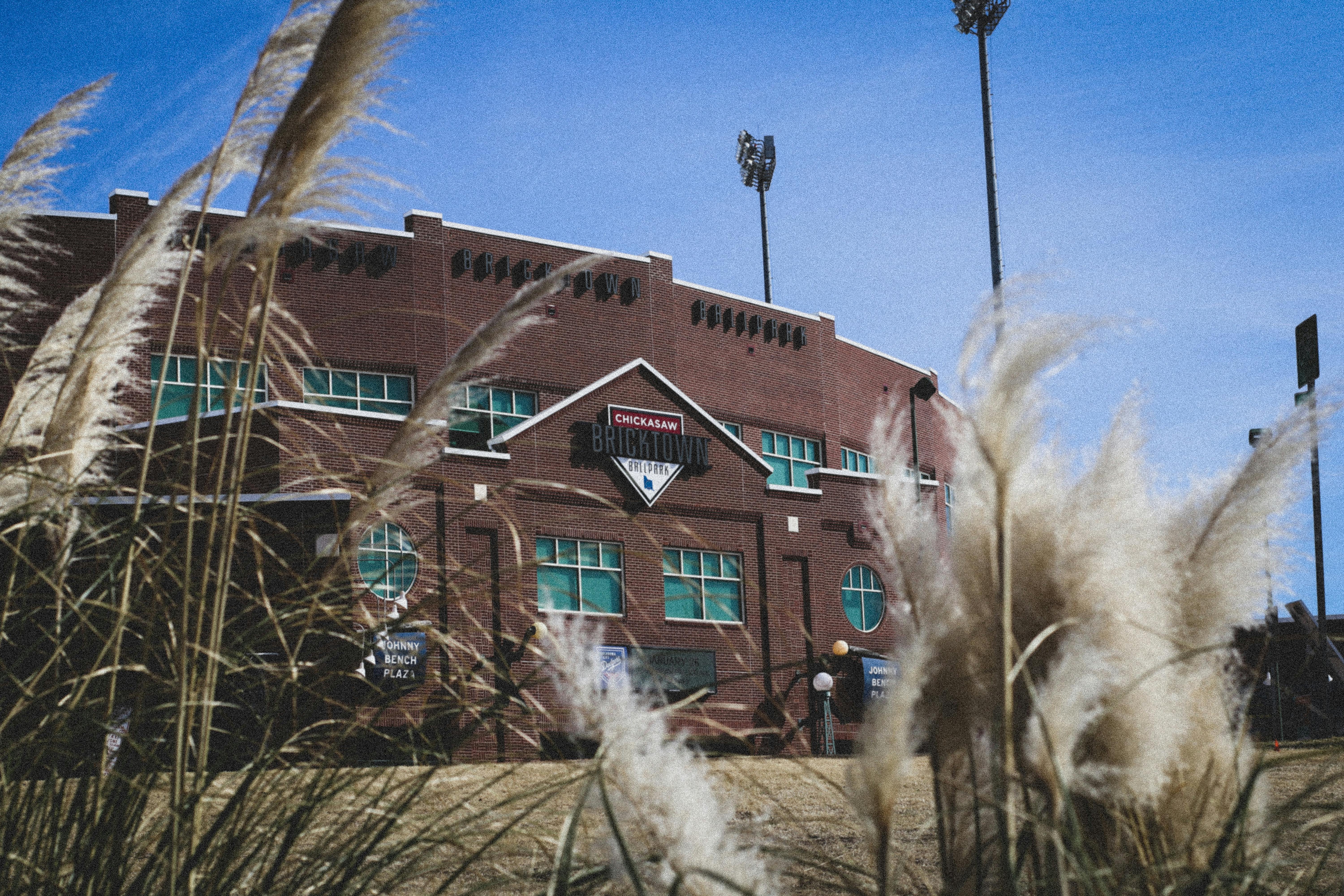 간판, 경치, 나무에 관한 무료 스톡 사진