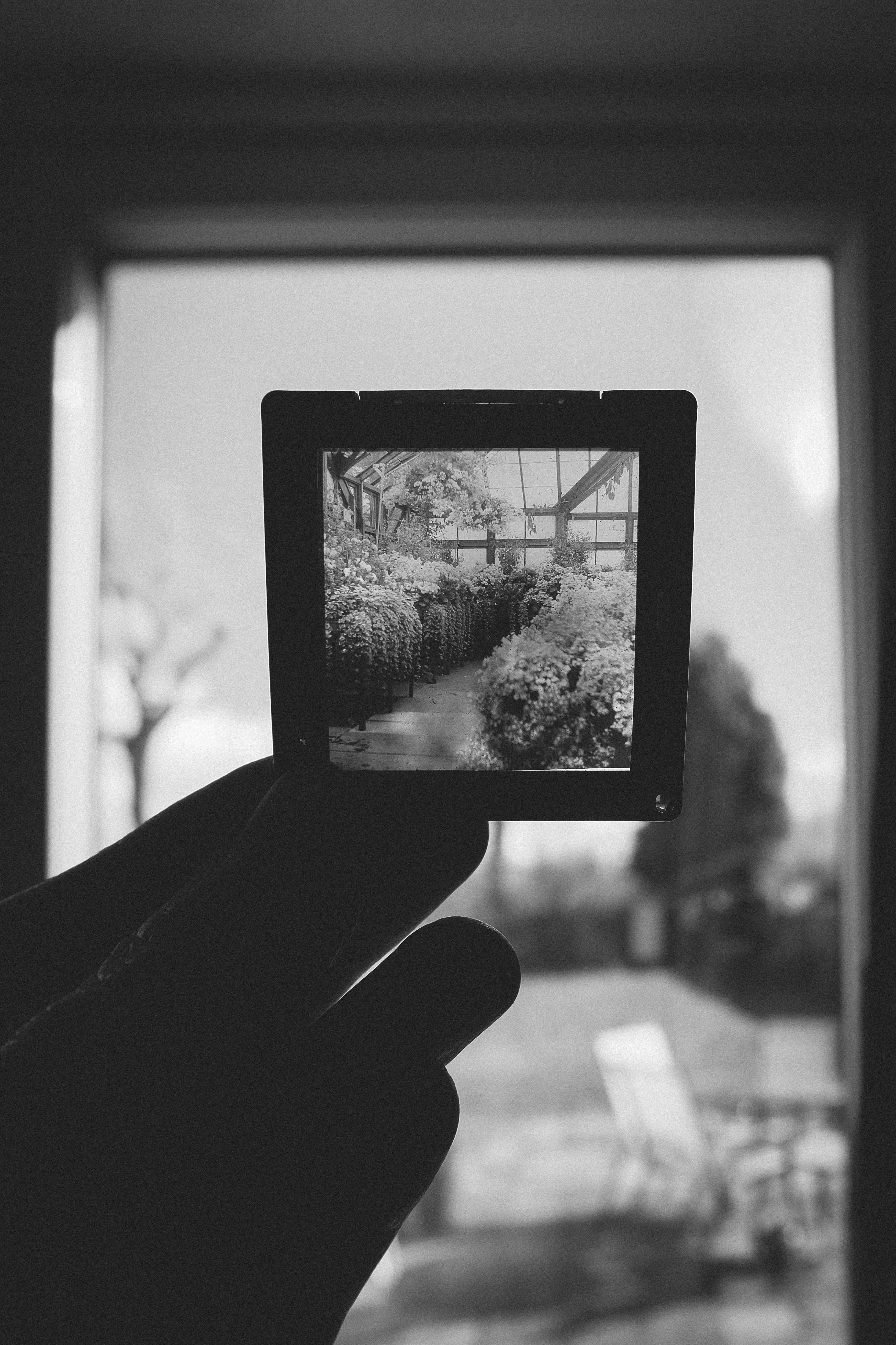 A person holding a small camera in front of a window · Free Stock Photo