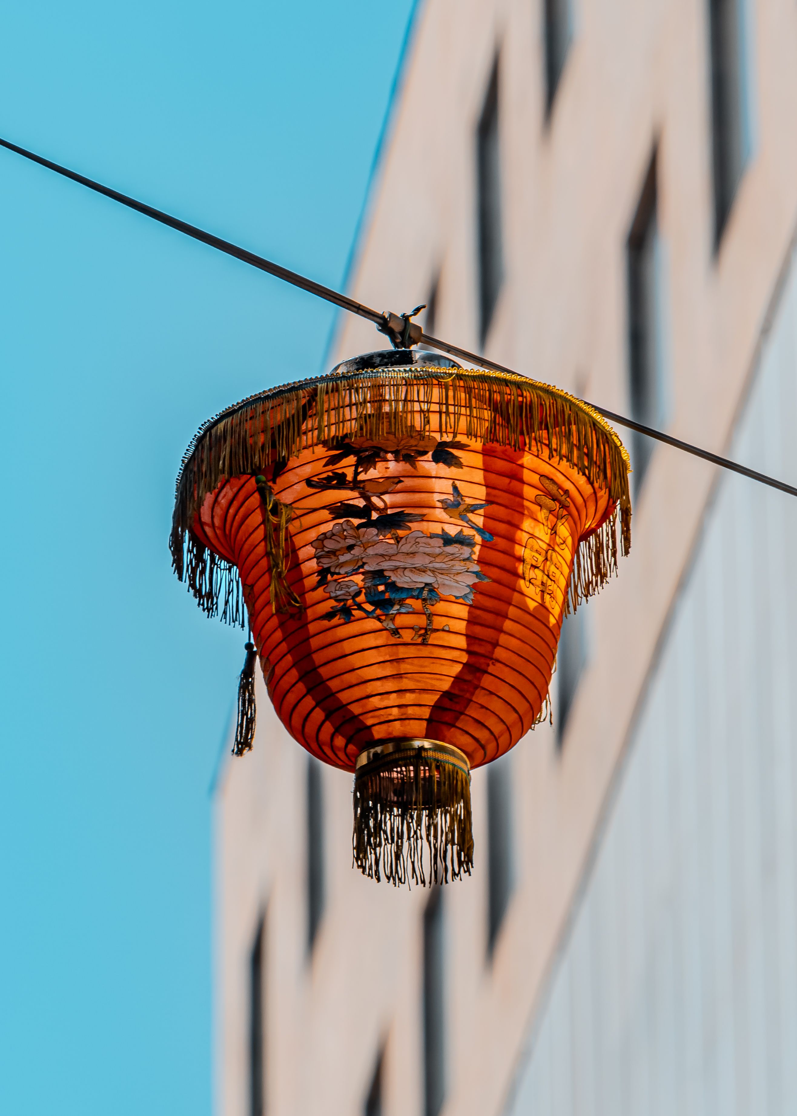 Decorative Paper Lantern Hanging Outdoors · Free Stock Photo