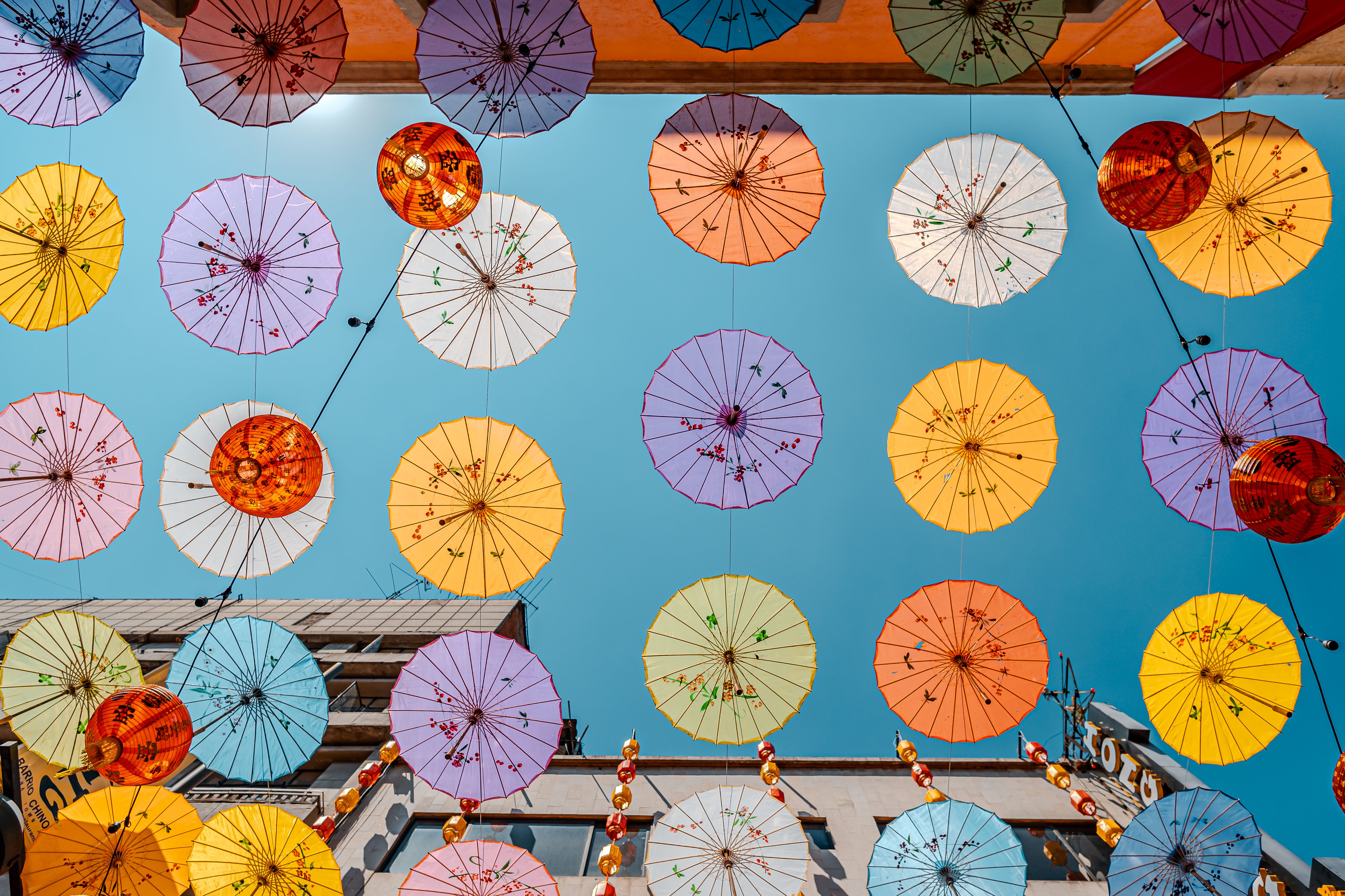 Photo of Neon Light Umbrellas · Free Stock Photo