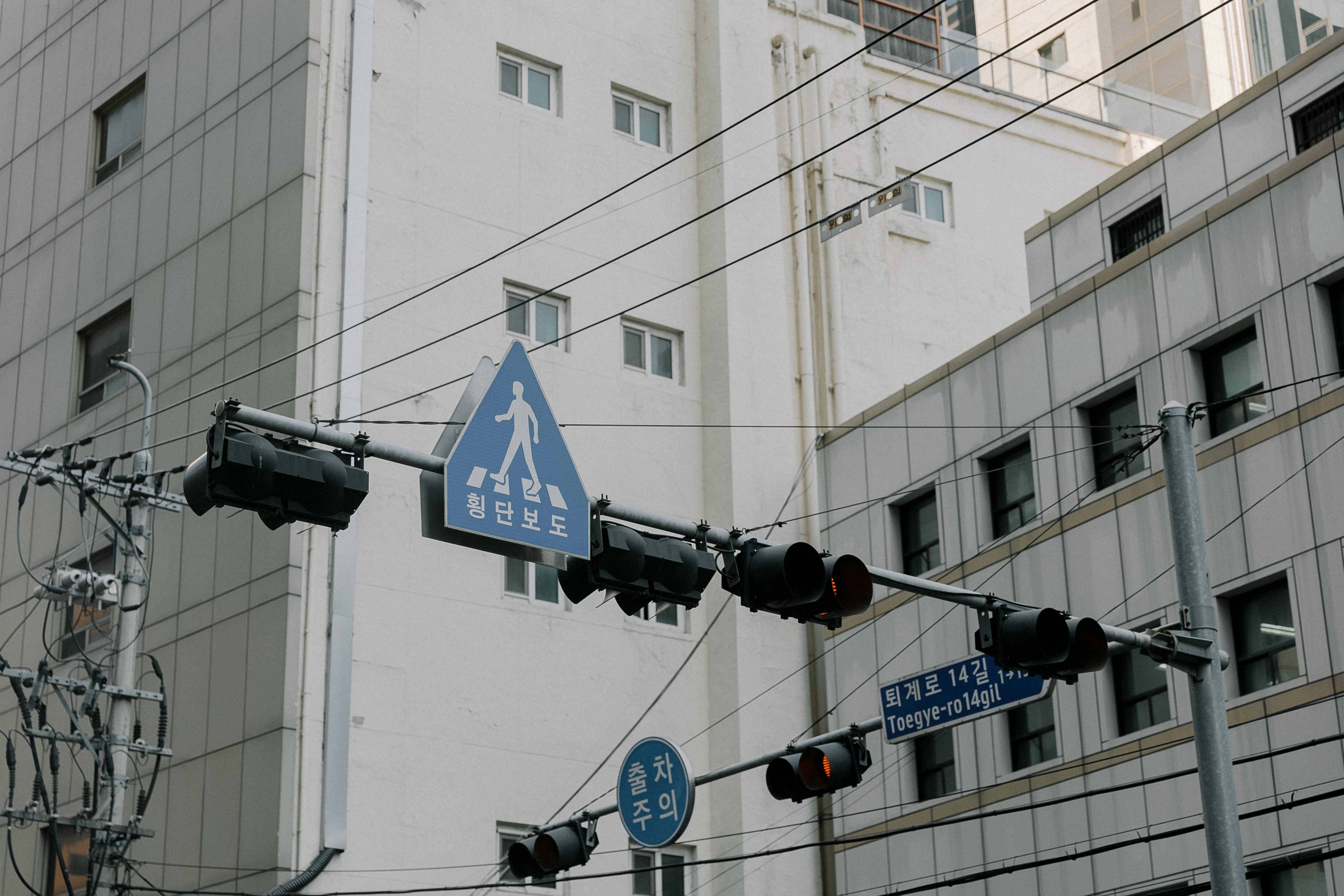 Traffic Light · Free Stock Photo