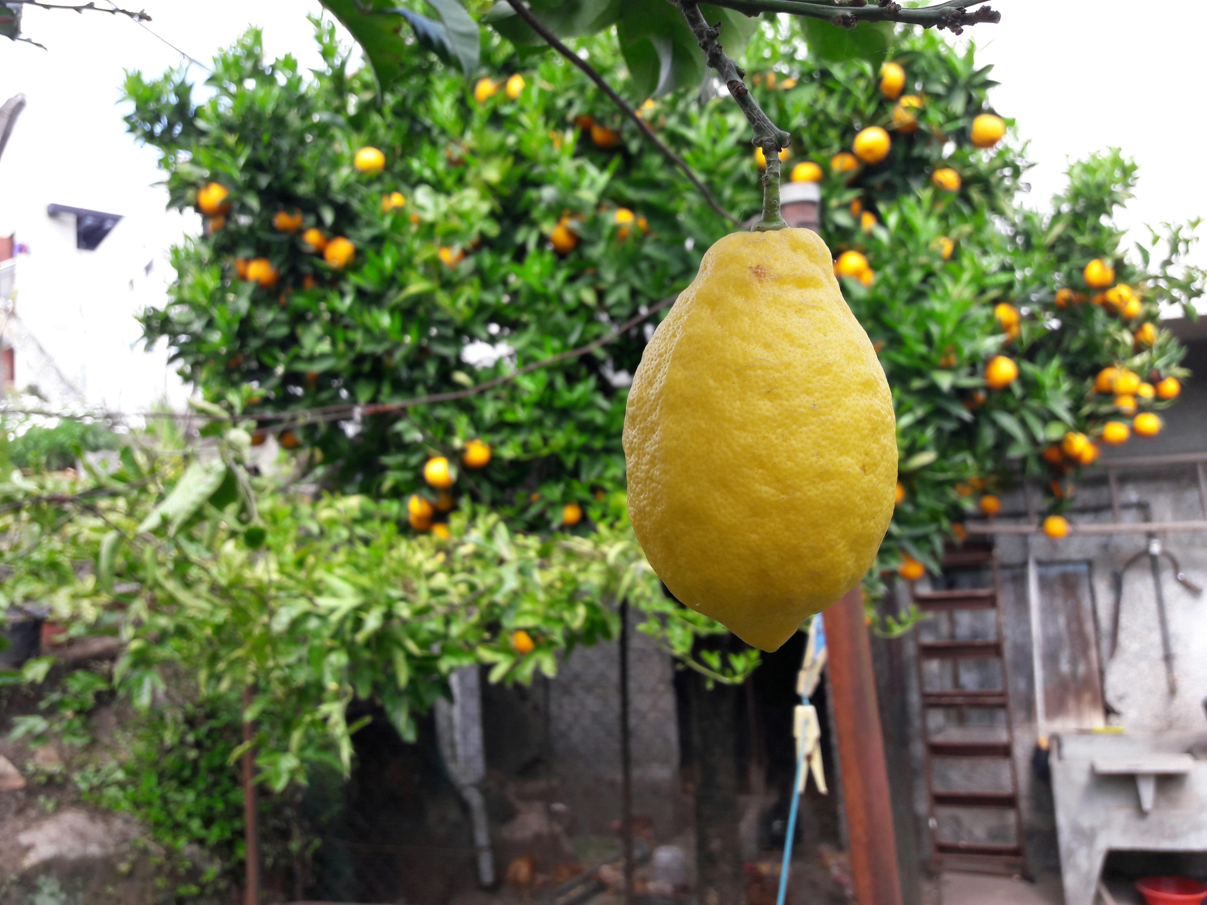 Rui Dias - Photography