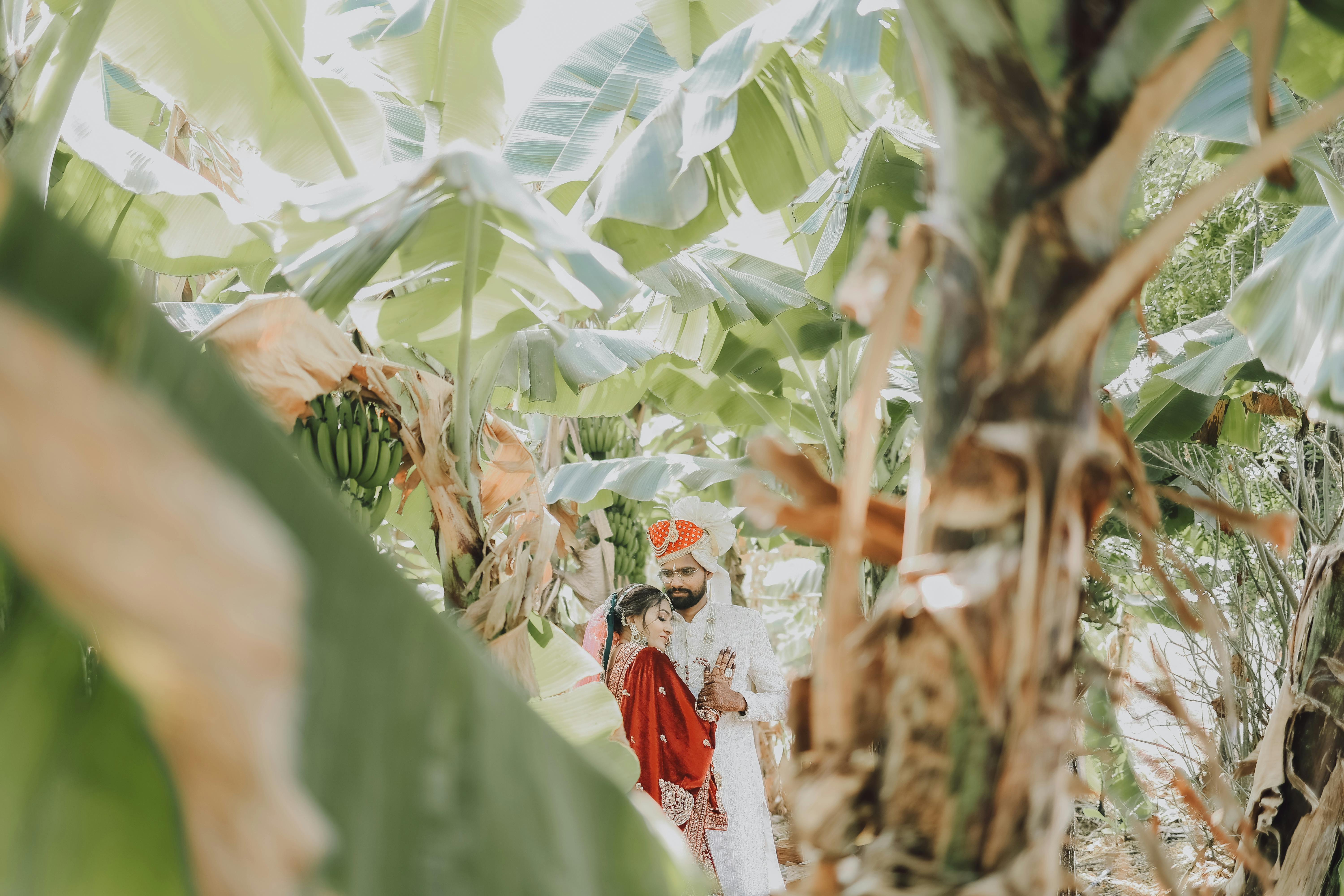 Wedding Farm Photos, Download The BEST Free Wedding Farm Stock Photos ...