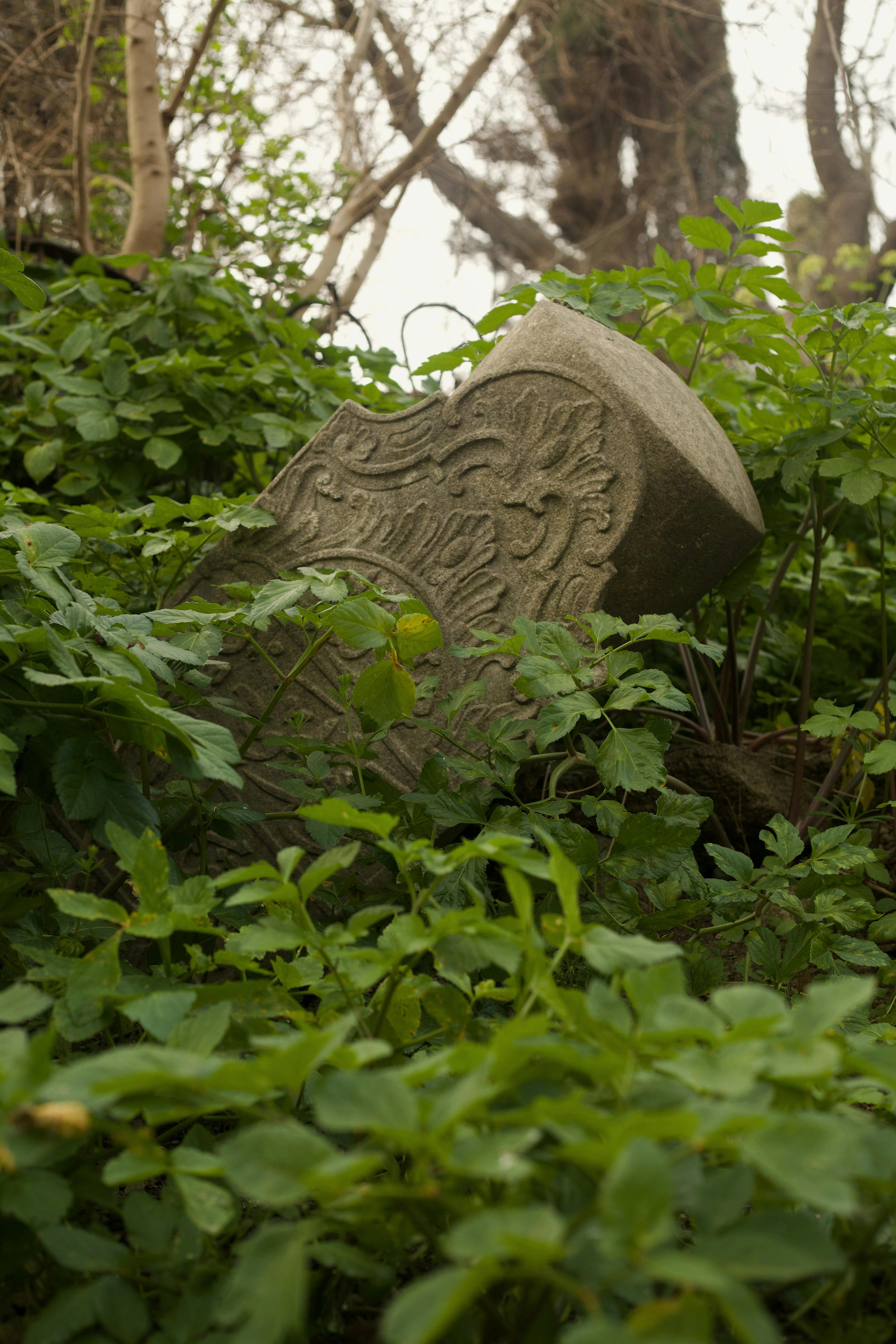 A stone headstone in the middle of a forest · Free Stock Photo