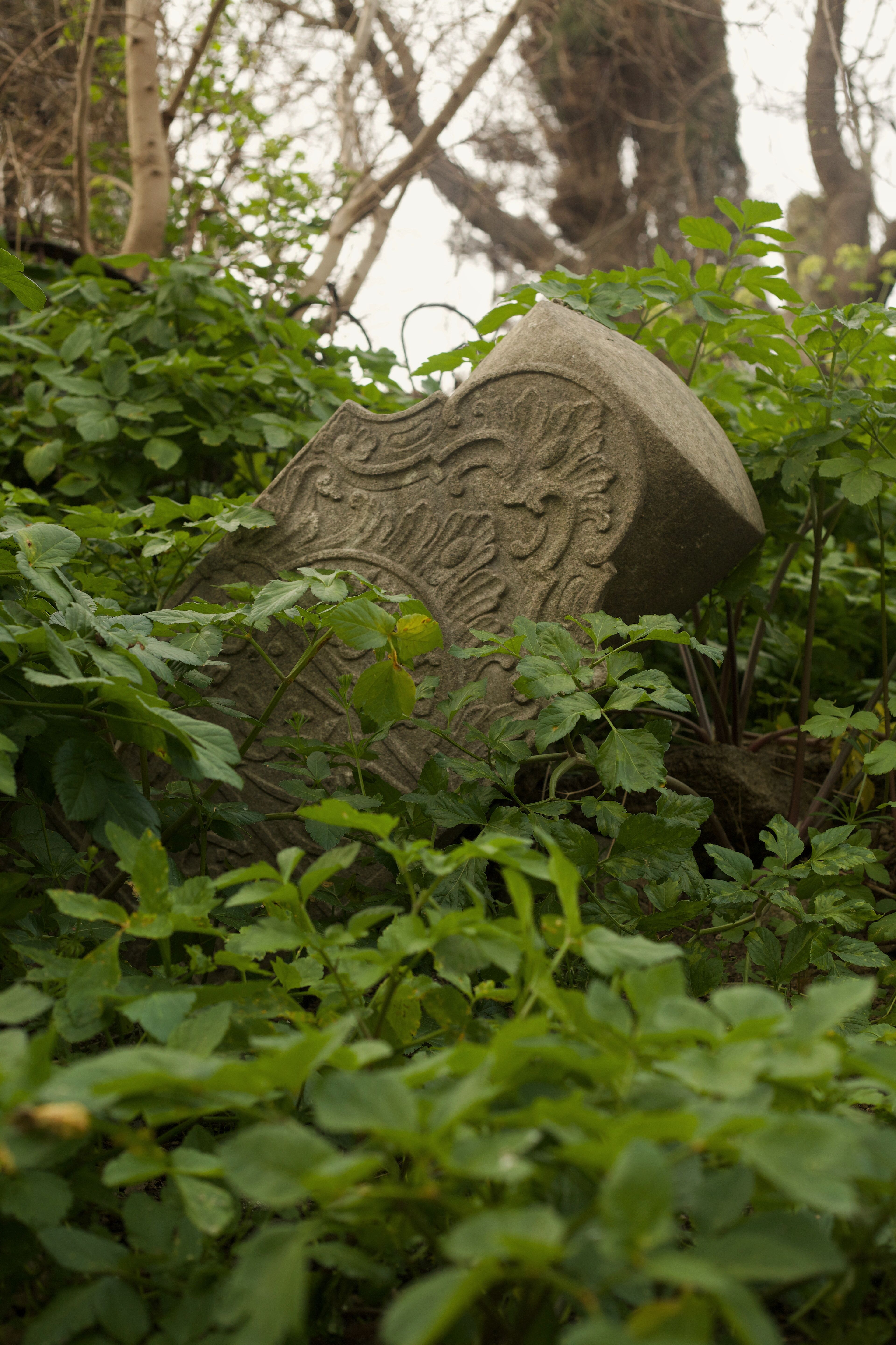 Decorative Tomb Stone in Lush Foliage · Free Stock Photo