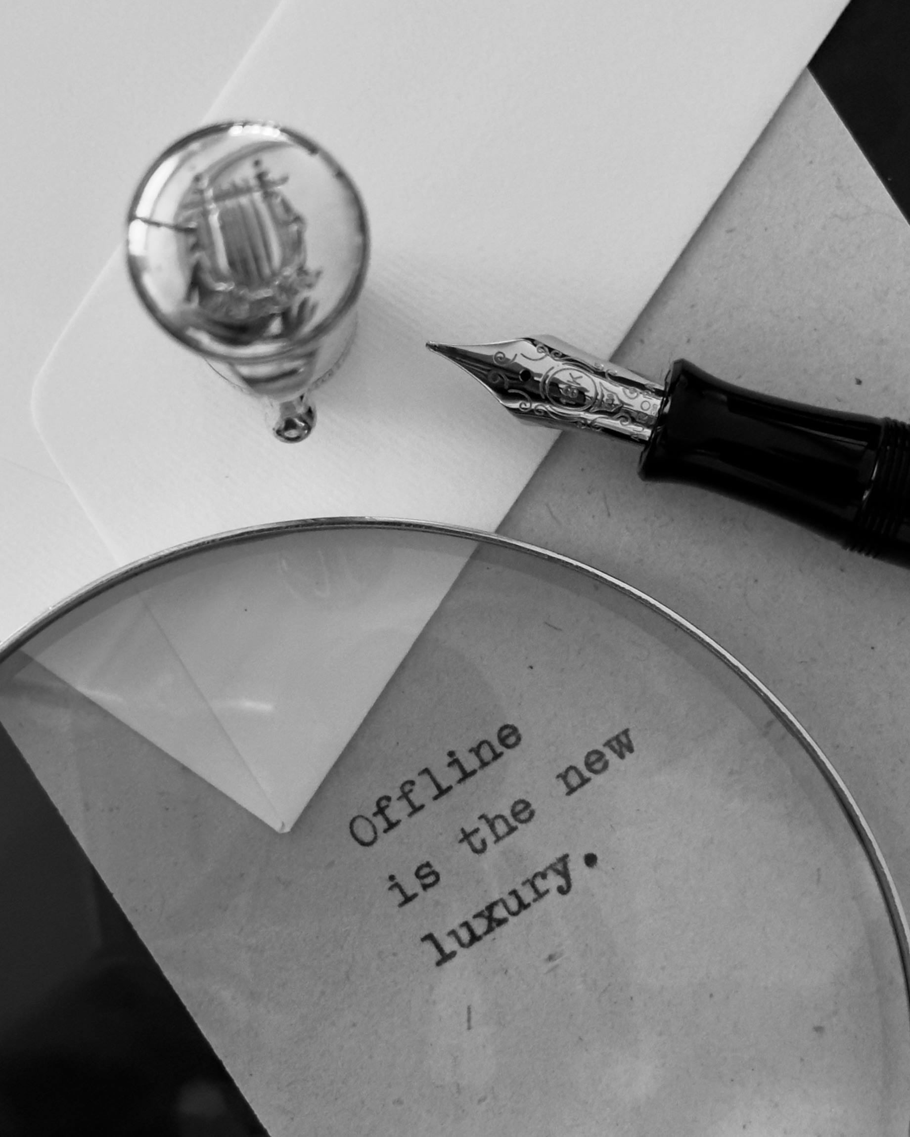 Moein Moradi - 사진