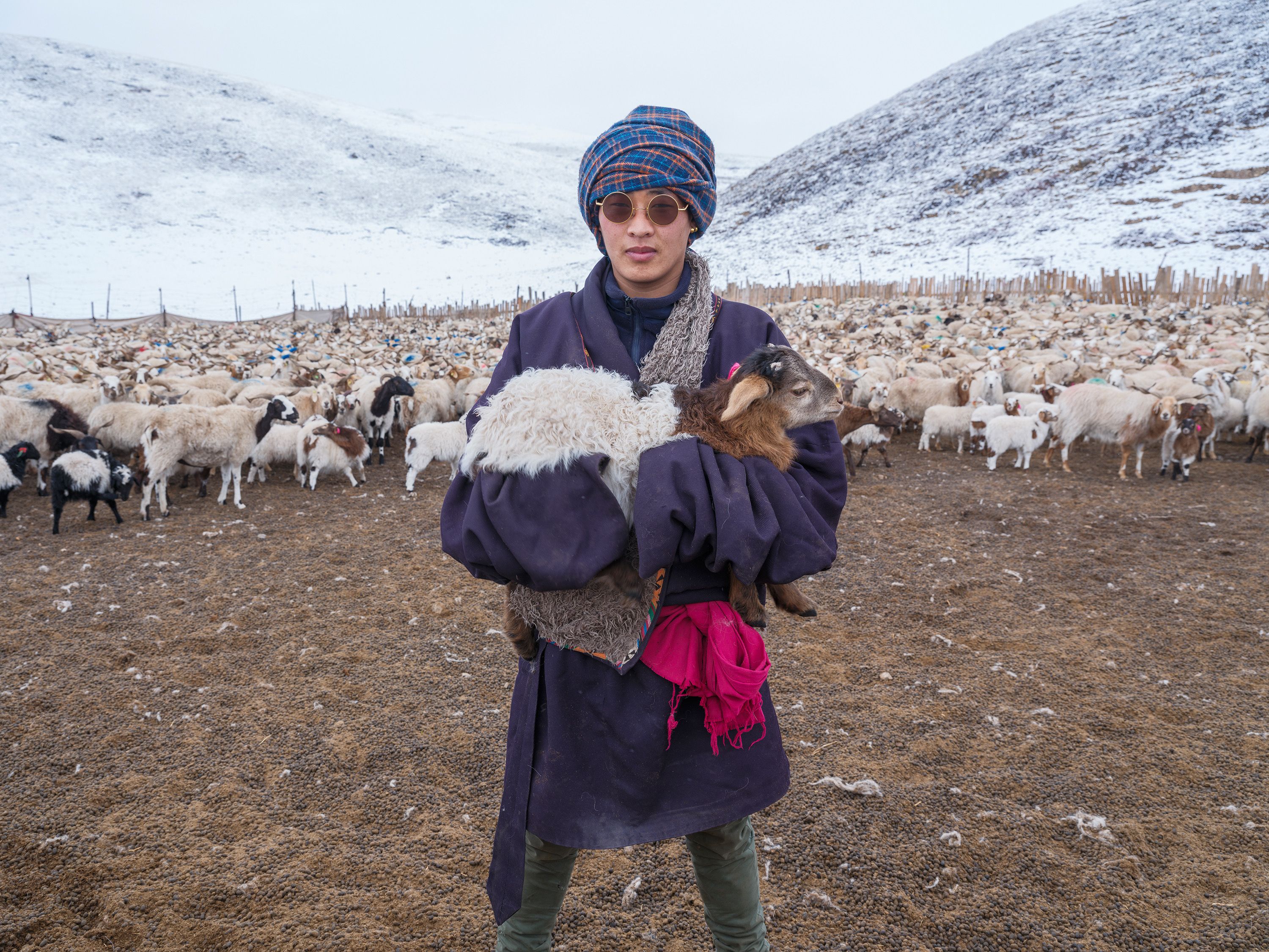 Tibet Farming Photos, Download The BEST Free Tibet Farming Stock Photos ...