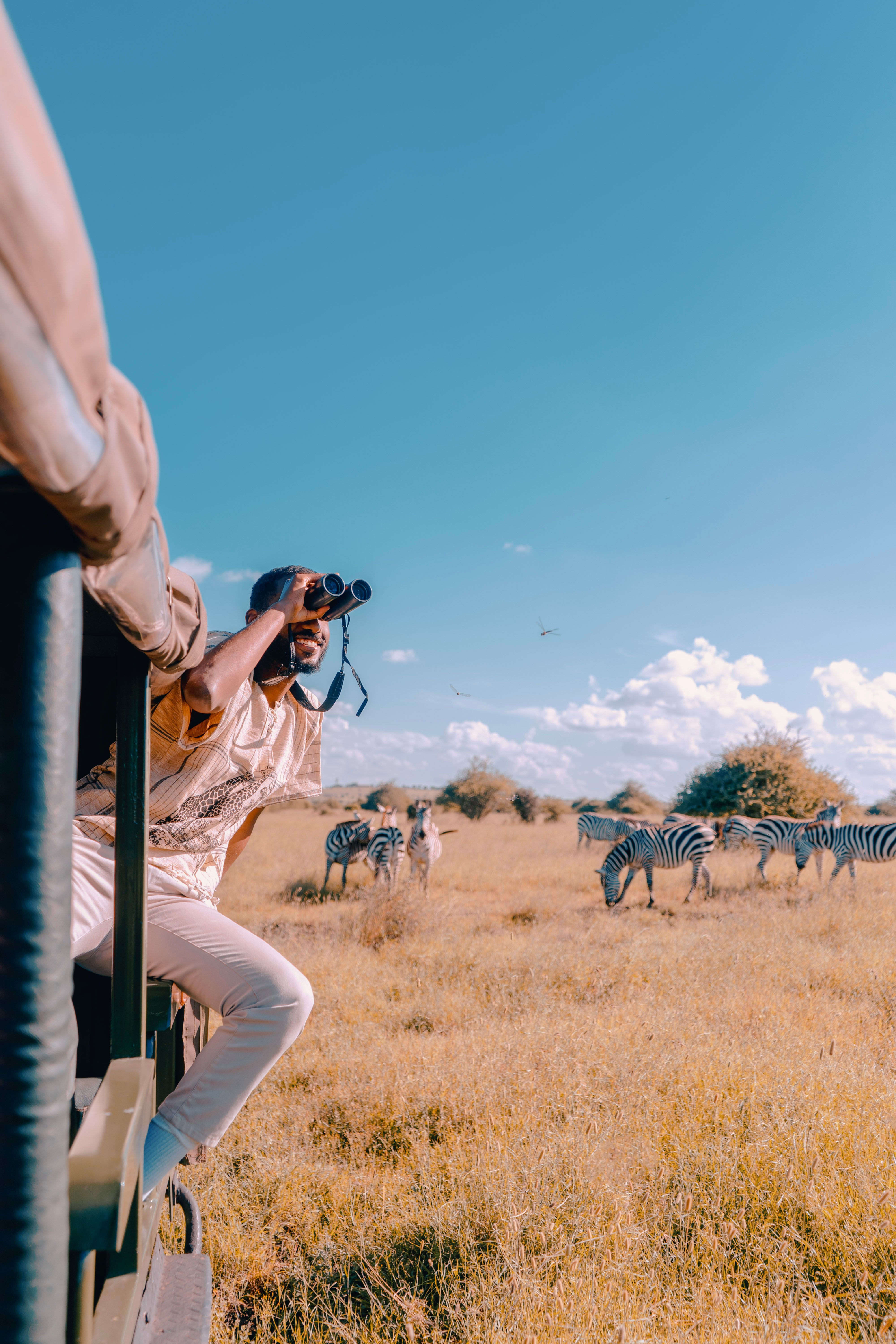Open Savannah Photos, Download The BEST Free Open Savannah Stock Photos ...