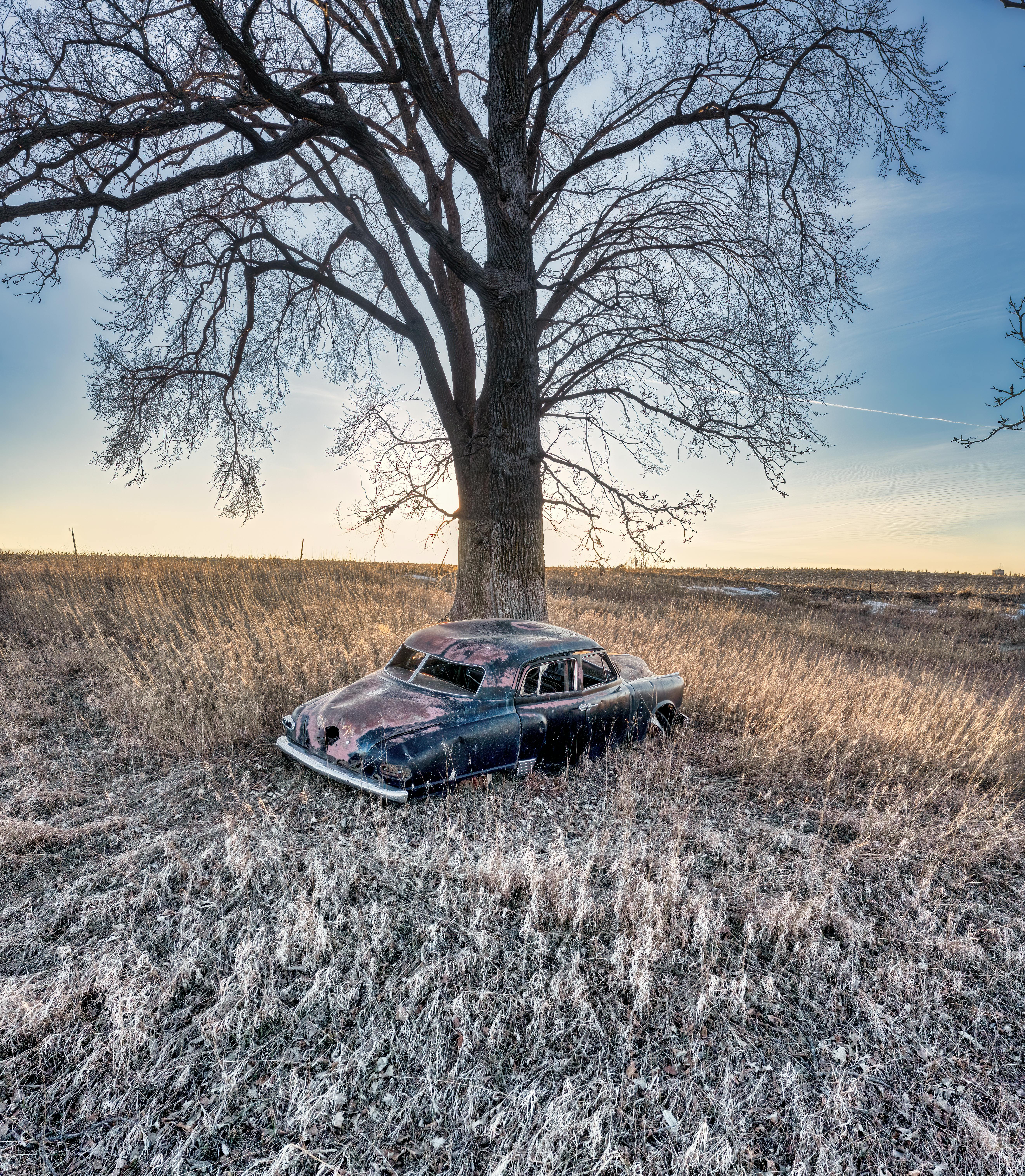 An Abandoned Car under a Tree on a Dry Grass Field · Free Stock Photo