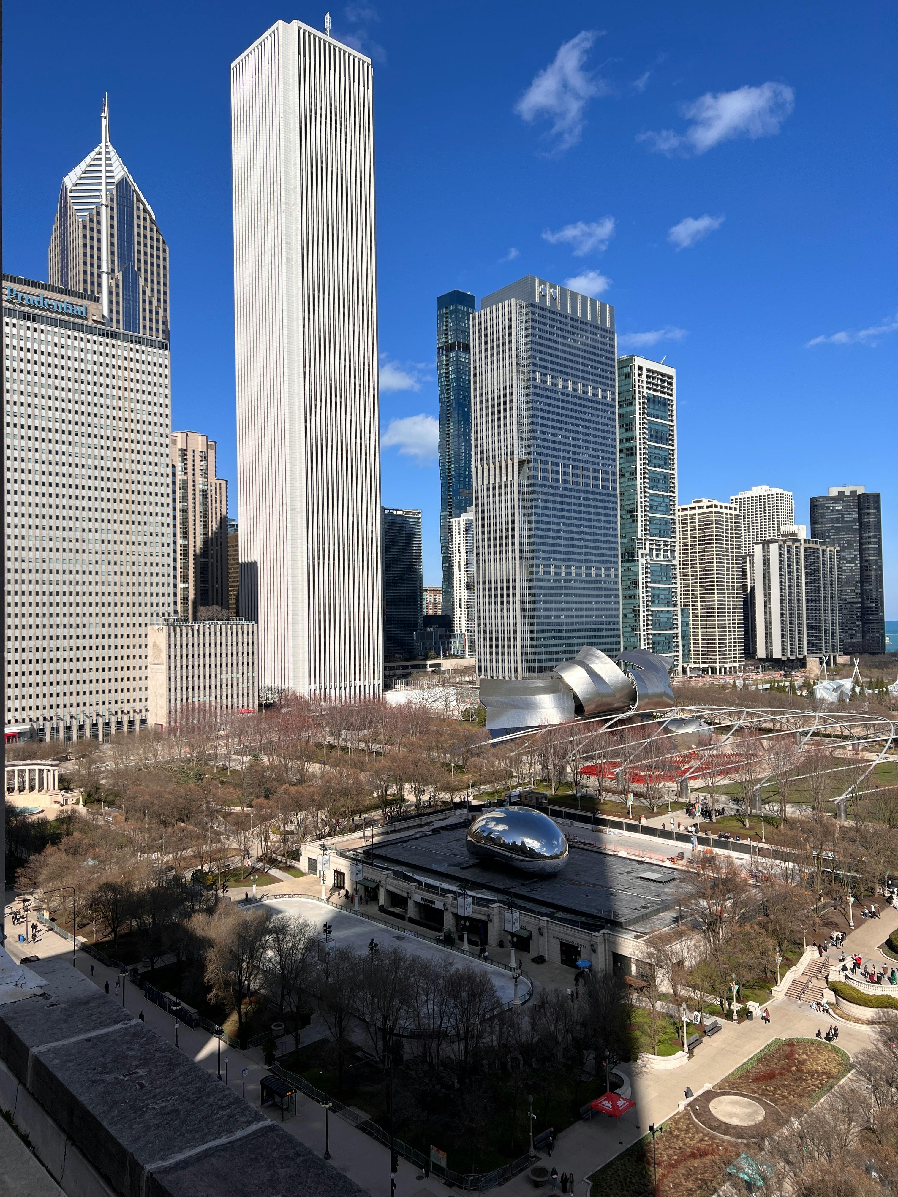 Chicago Cityscape with Anish Kapoors Sculpture · Free Stock Photo