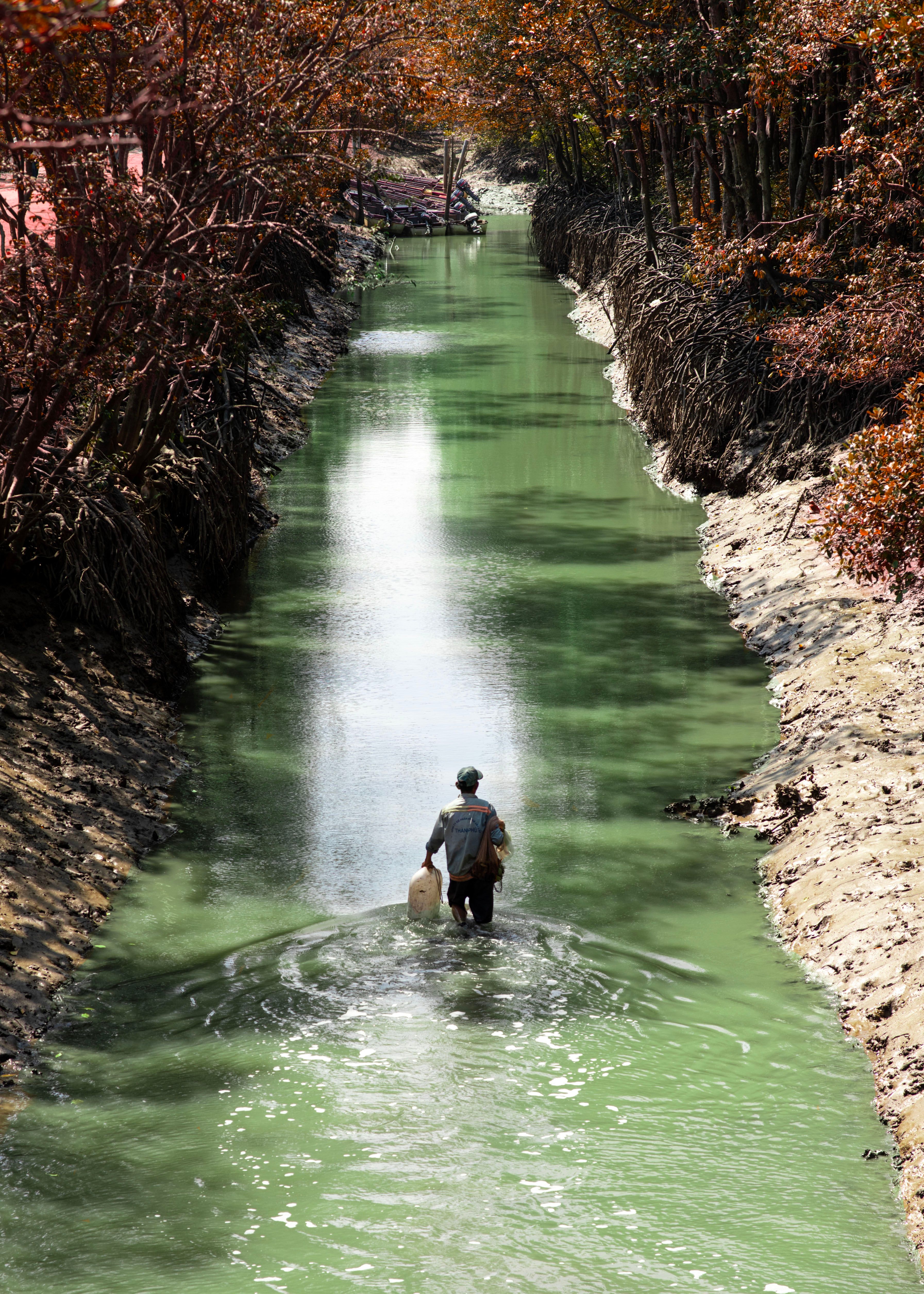 Man Walking in Shallow River in Autumn · Free Stock Photo