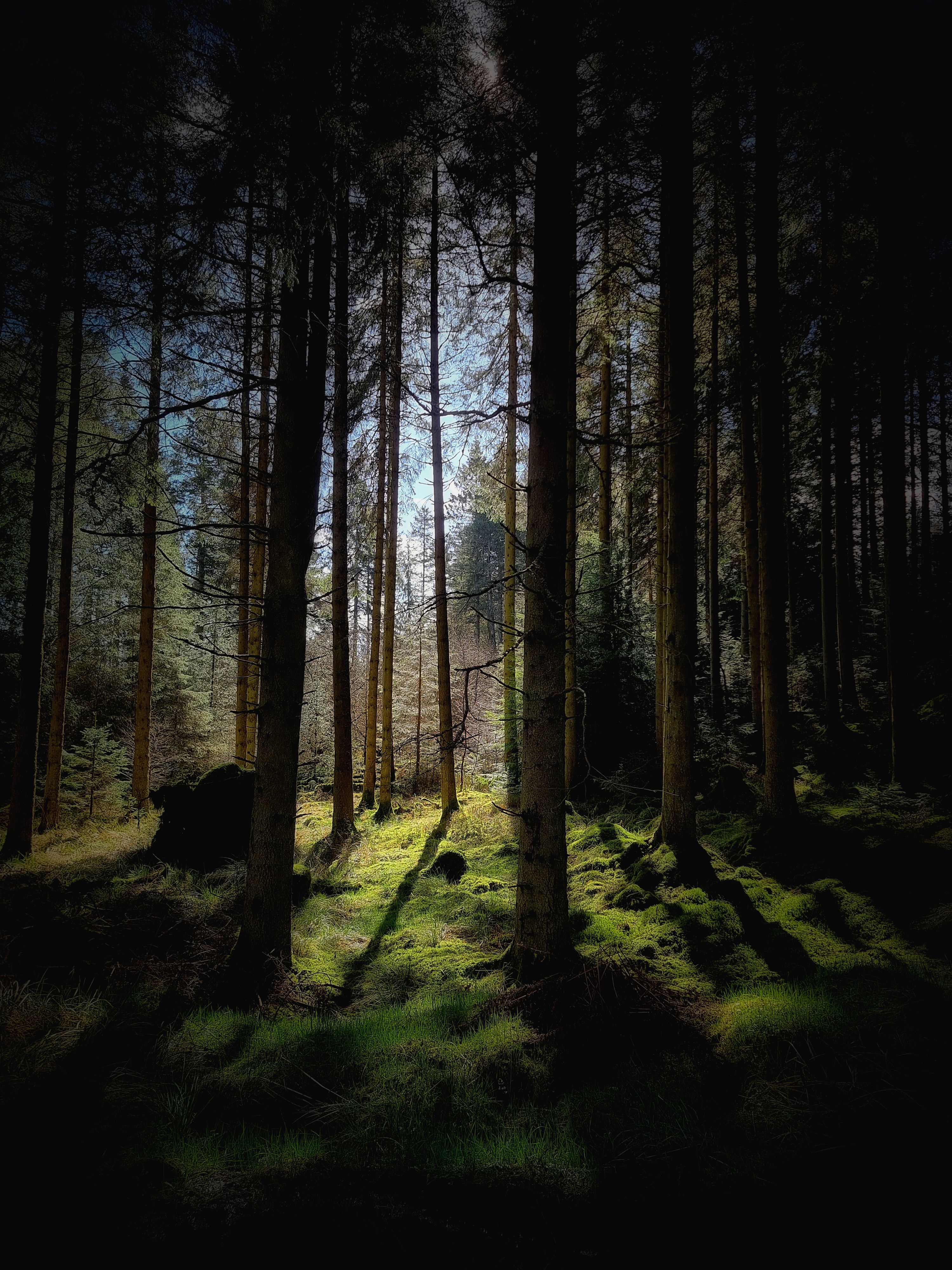 Jay Turner - Photography