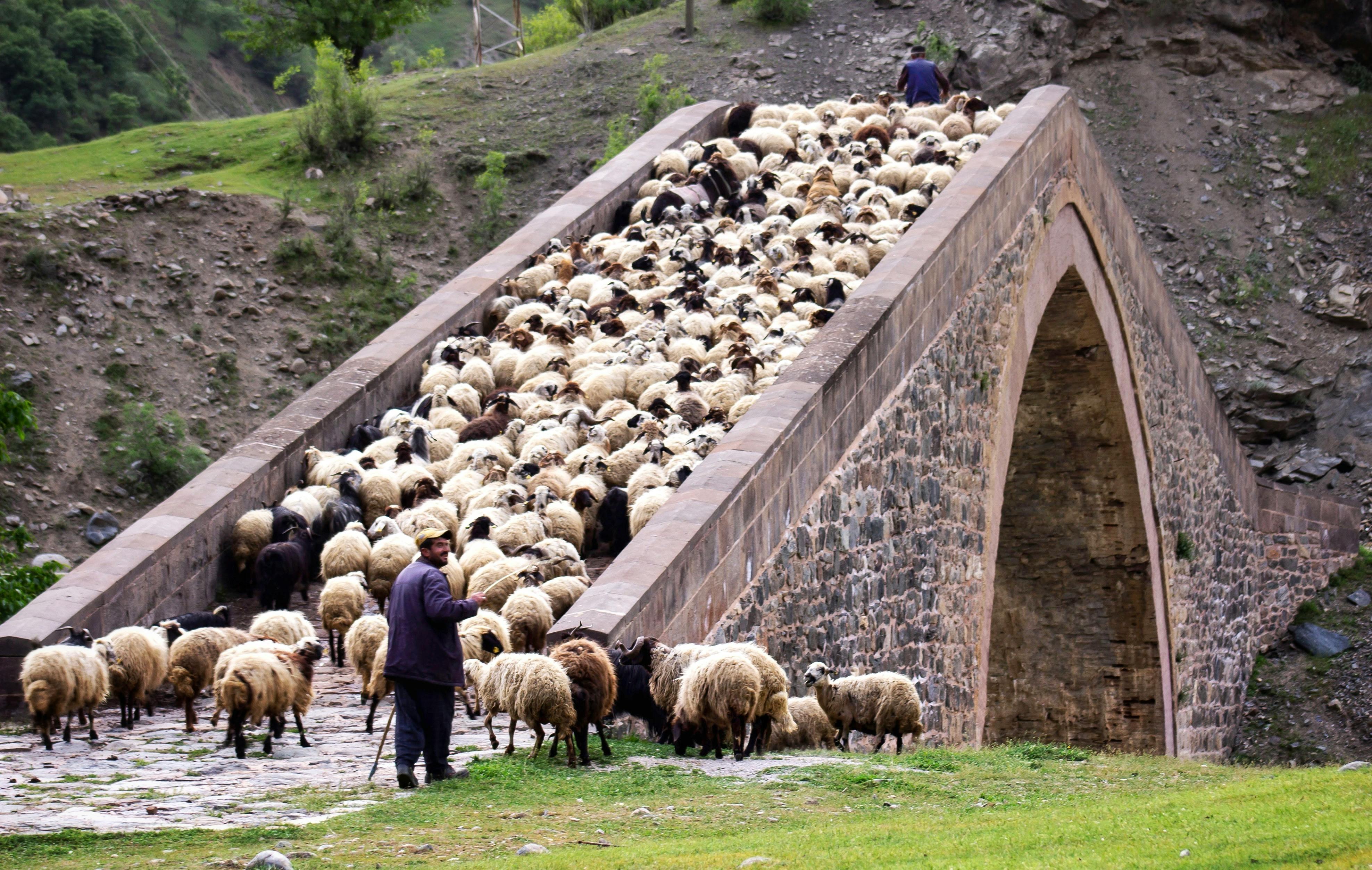 dilan archive - Photography