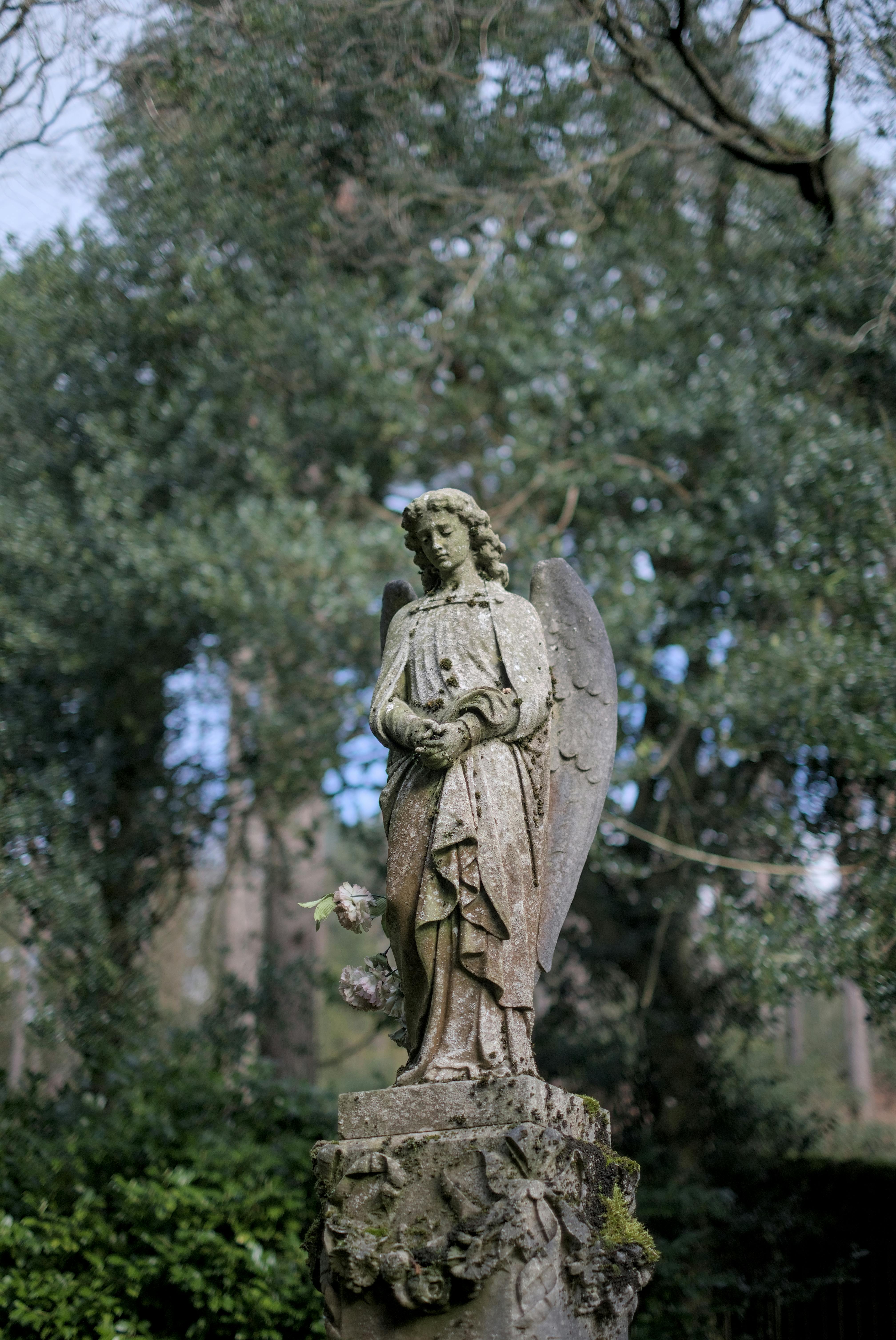 Stone Angel Statue between Trees and Plants · Free Stock Photo