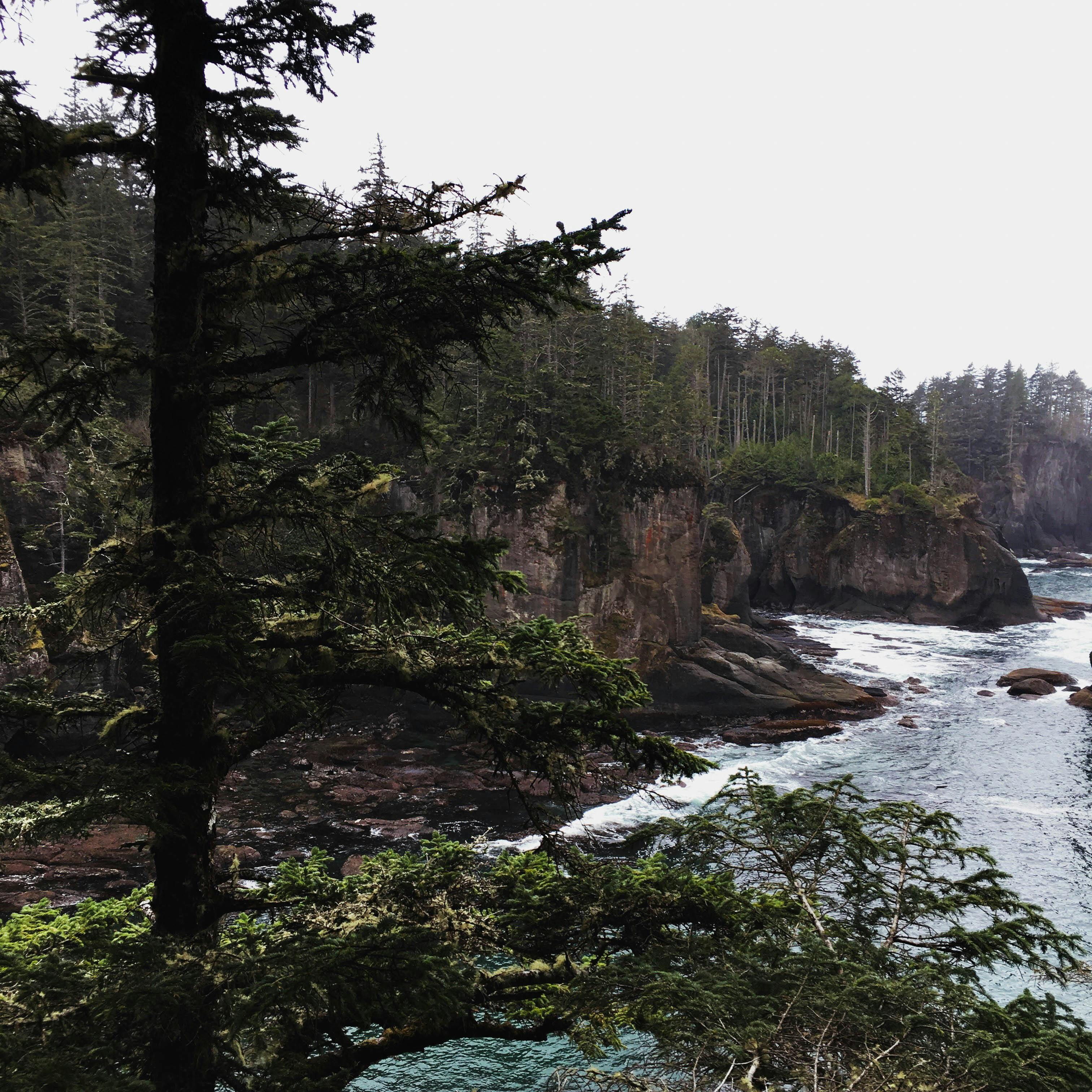 Pnw 壁紙 Photos, Download The BEST Free Pnw 壁紙 Stock Photos & HD Images