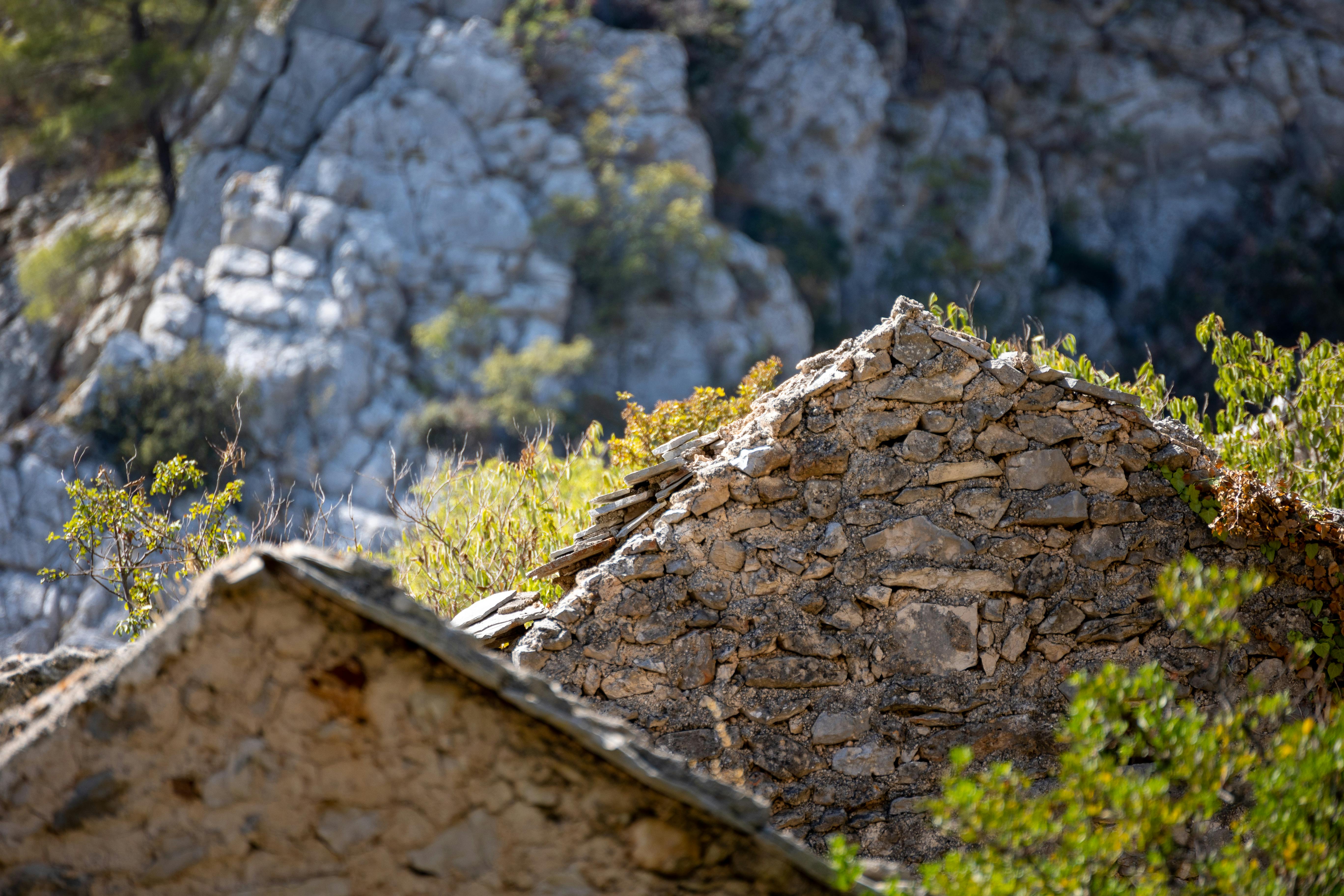 Split Hut Photos, Download The BEST Free Split Hut Stock Photos & HD Images