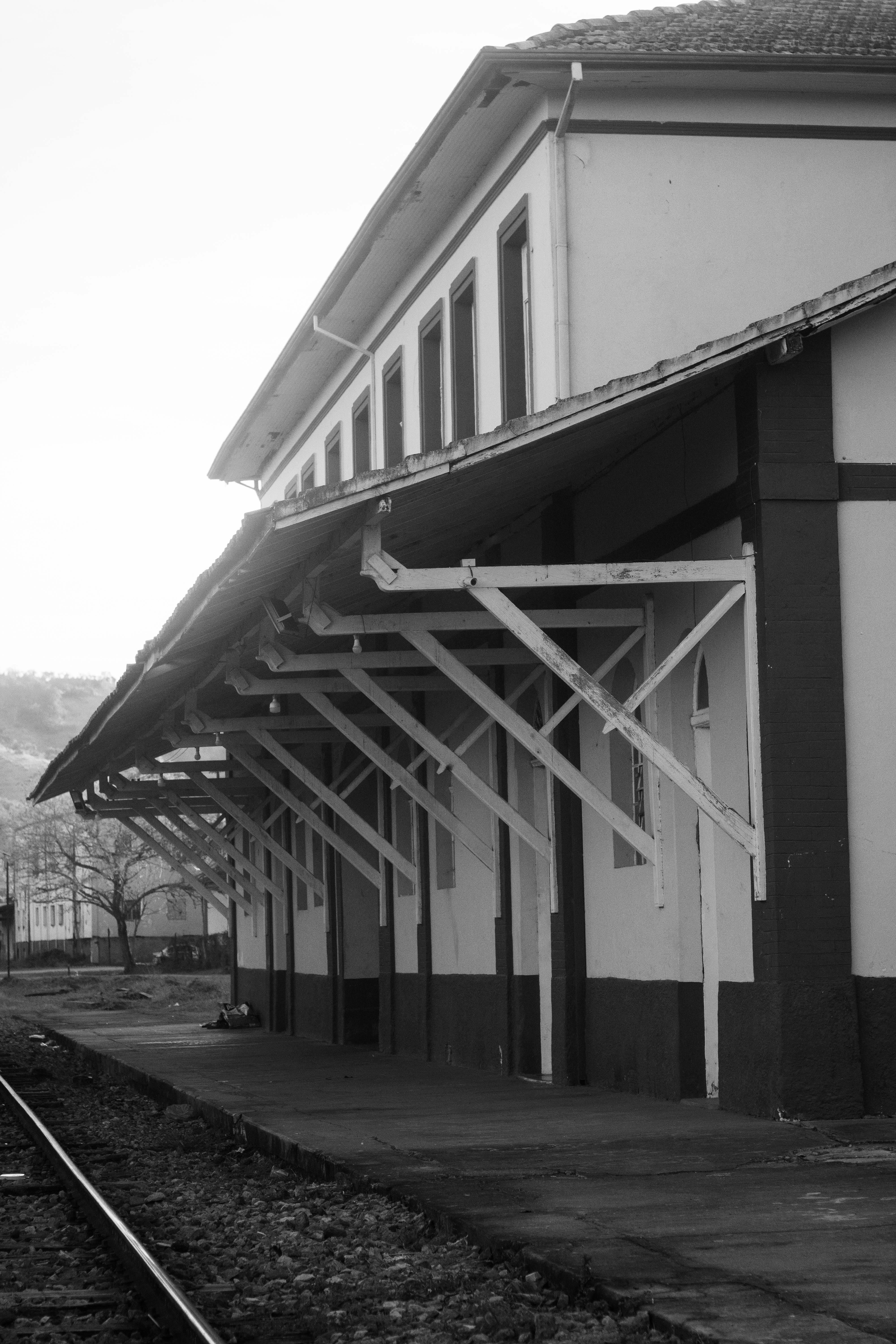 Awing over Railway Platform · Free Stock Photo