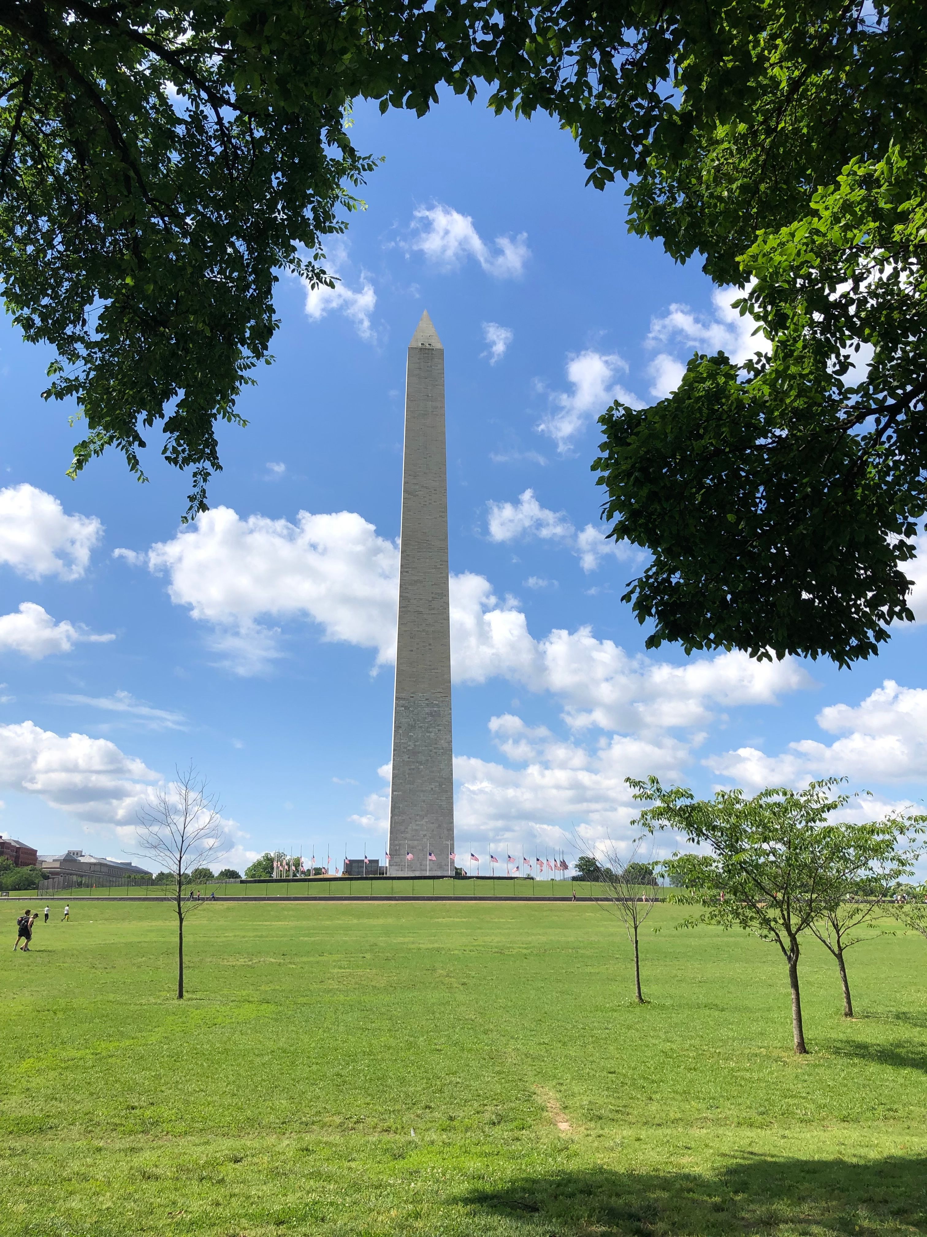 Washington Monument Under the Green Branches of a Tree · Free Stock Photo