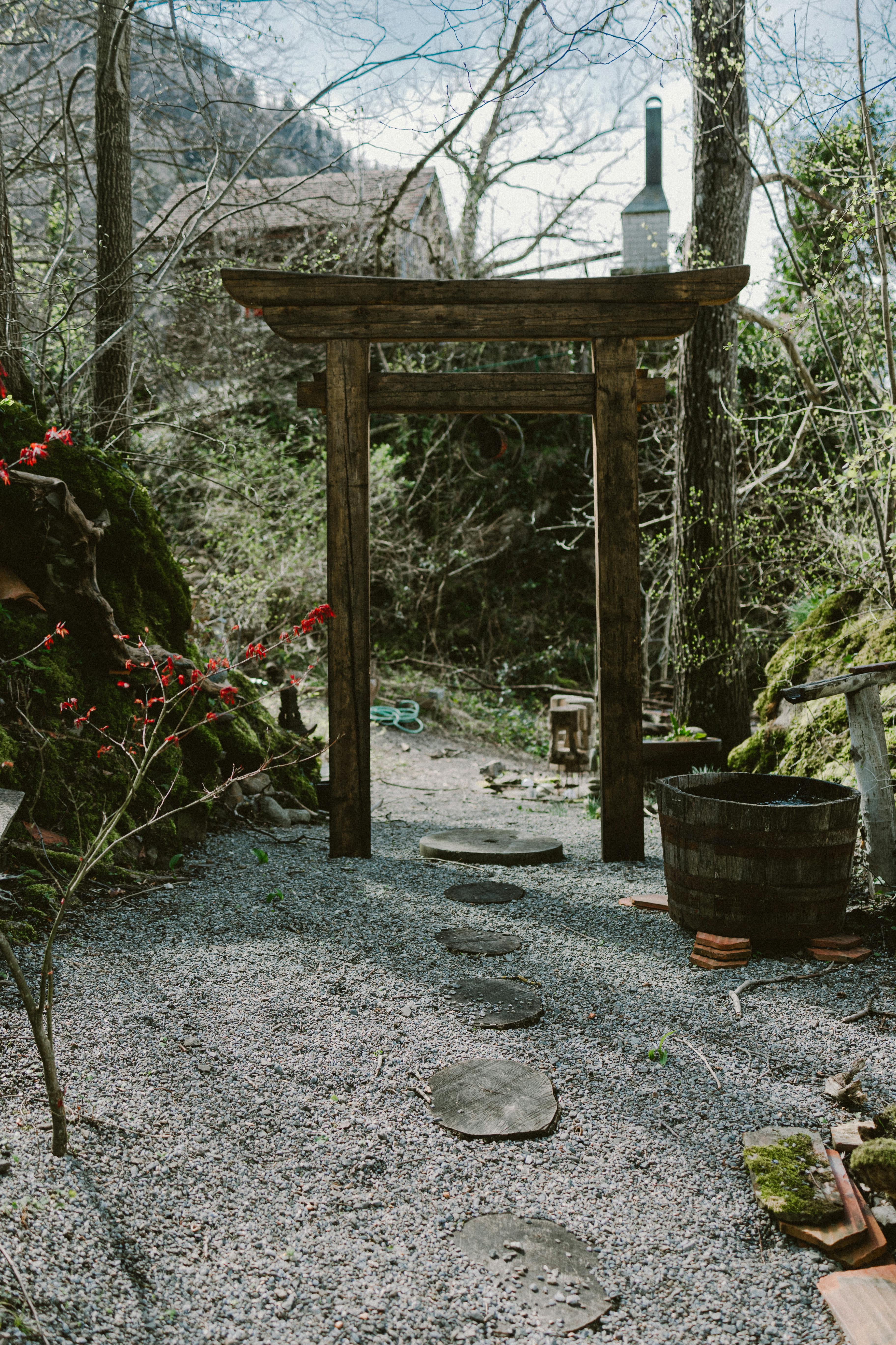 Wooden Gate in Forest · Free Stock Photo