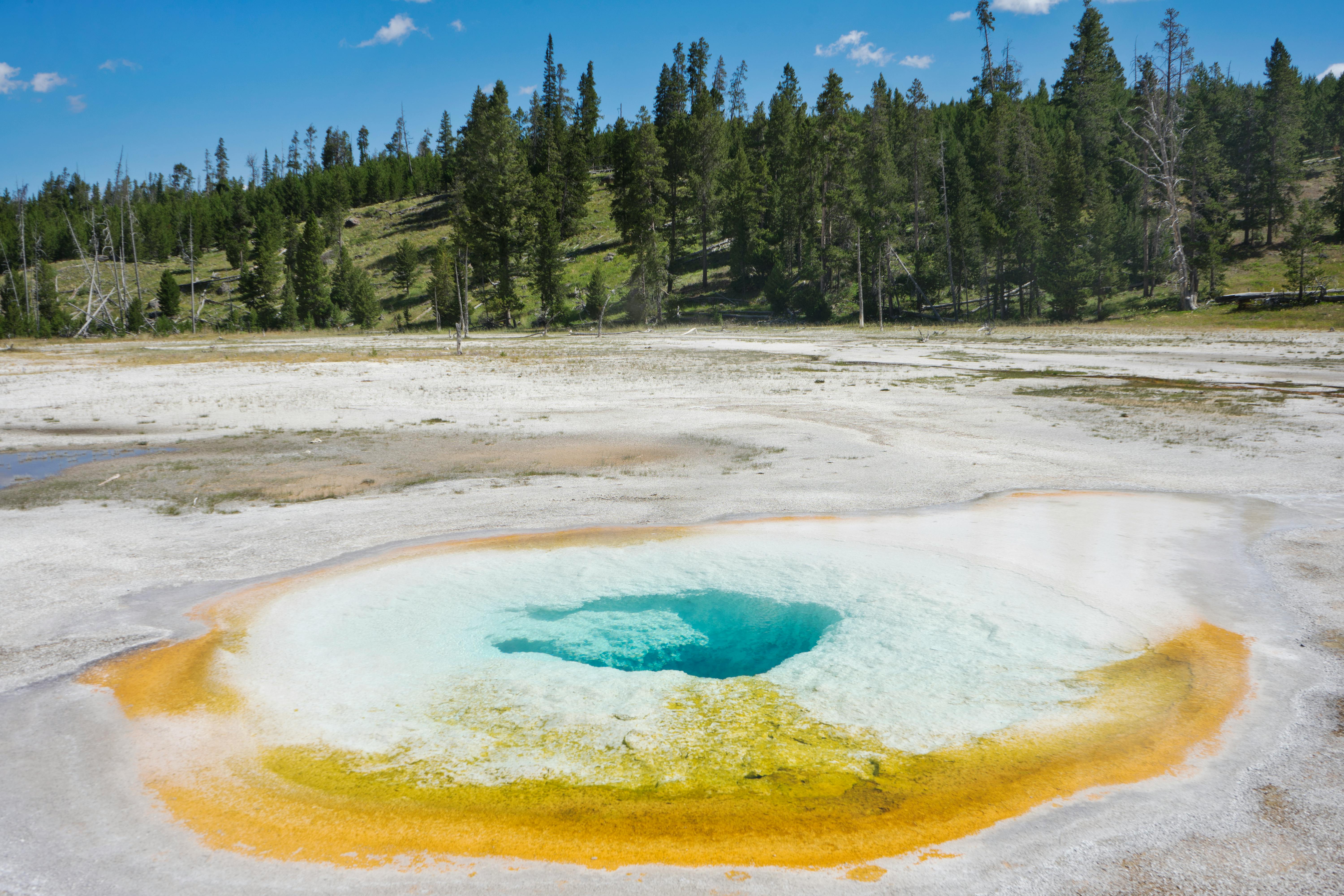 Geyser in Yellowstone National Park · Free Stock Photo