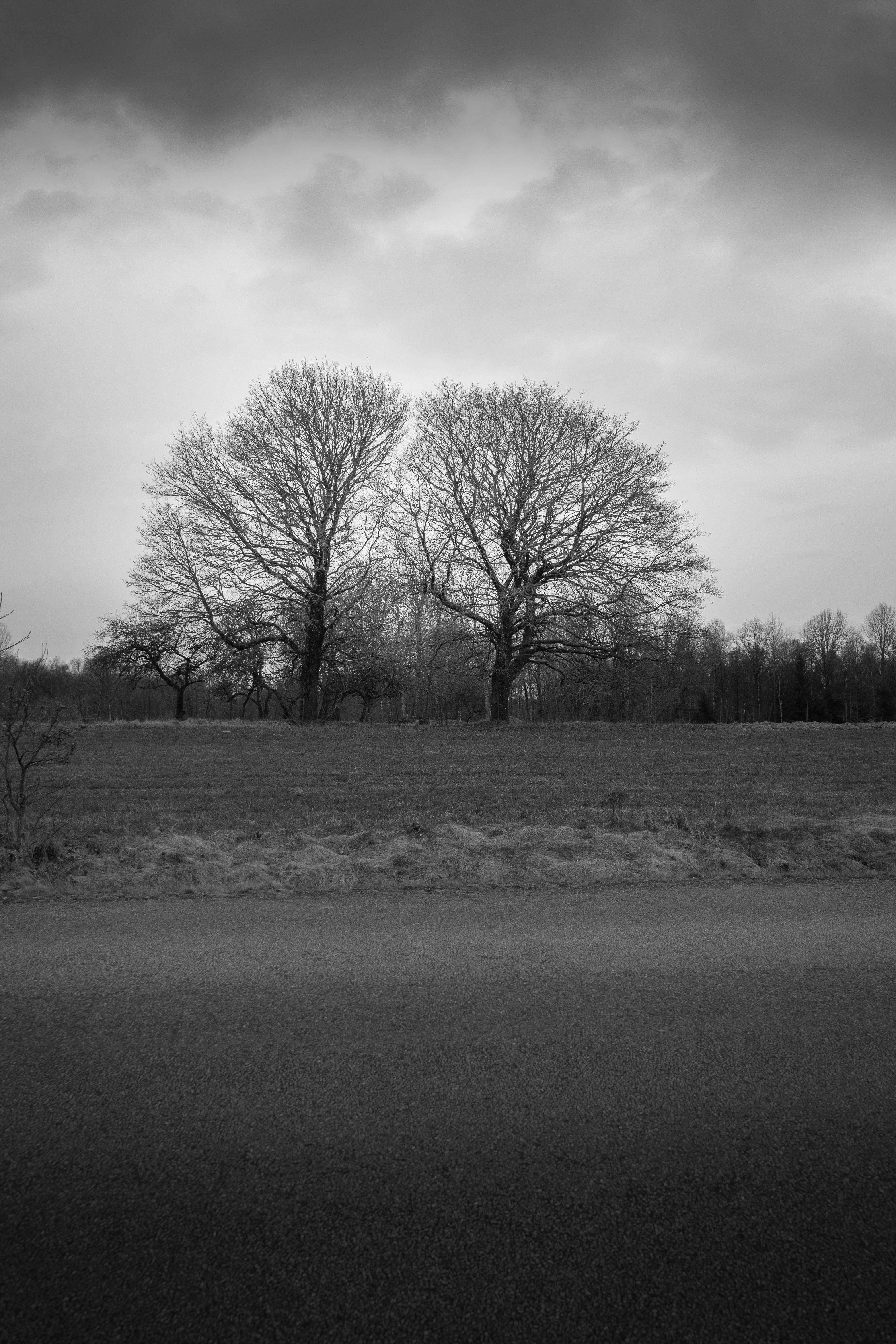 Grayscale Photo of a Sky · Free Stock Photo