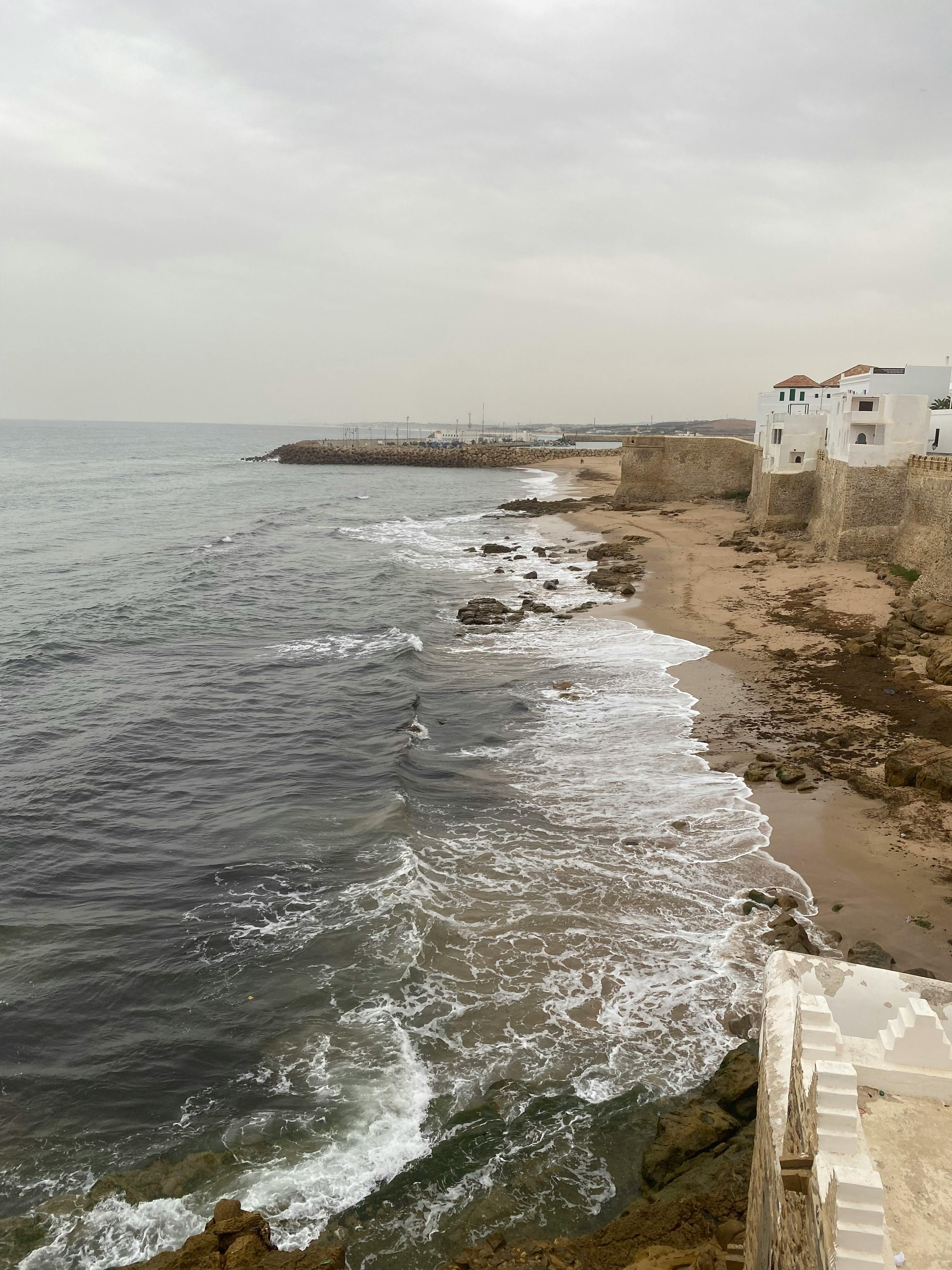 Mushroom Morocco Photos, Download The BEST Free Mushroom Morocco Stock ...