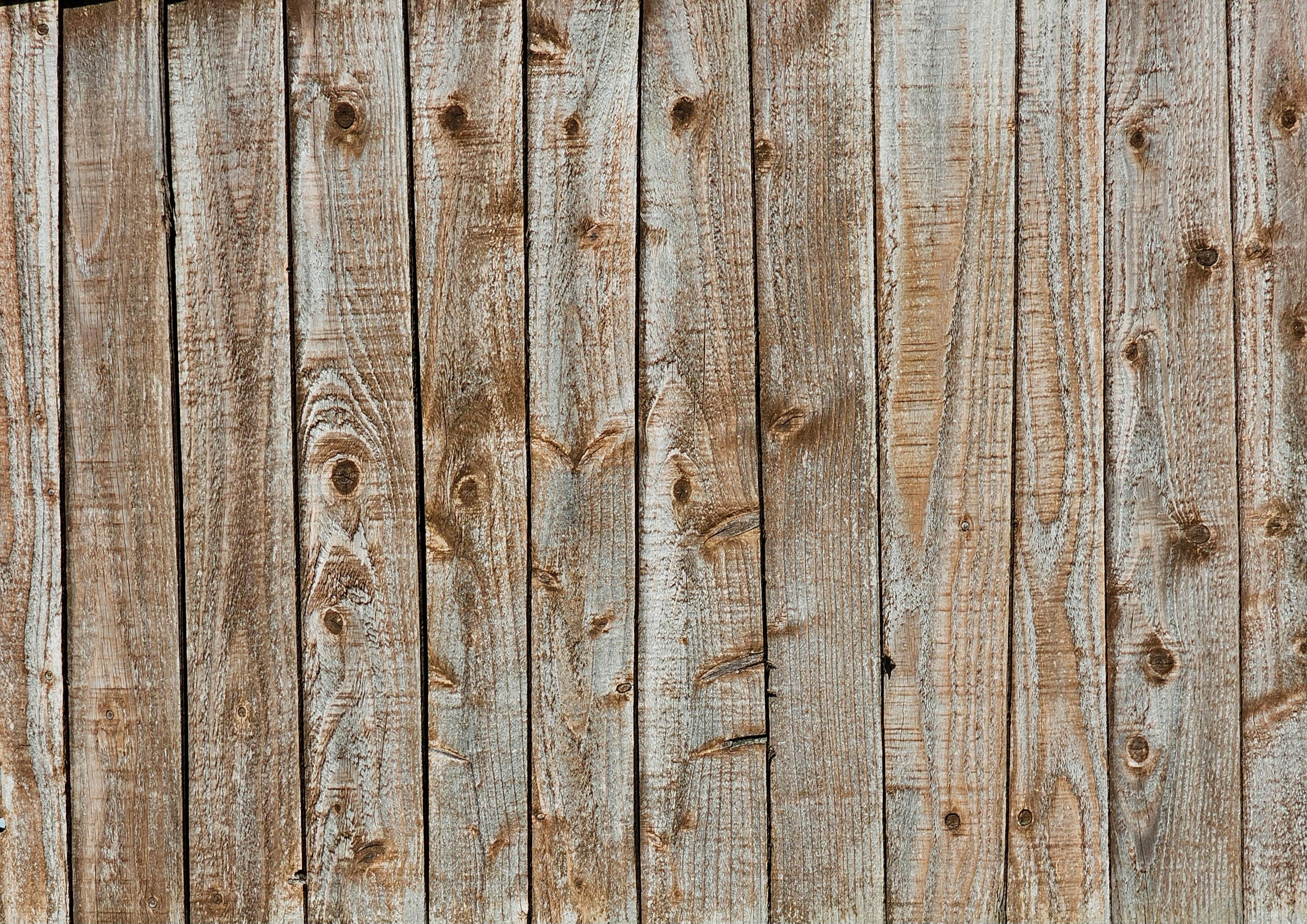 Close-up of a Wall of Wooden Boards · Free Stock Photo