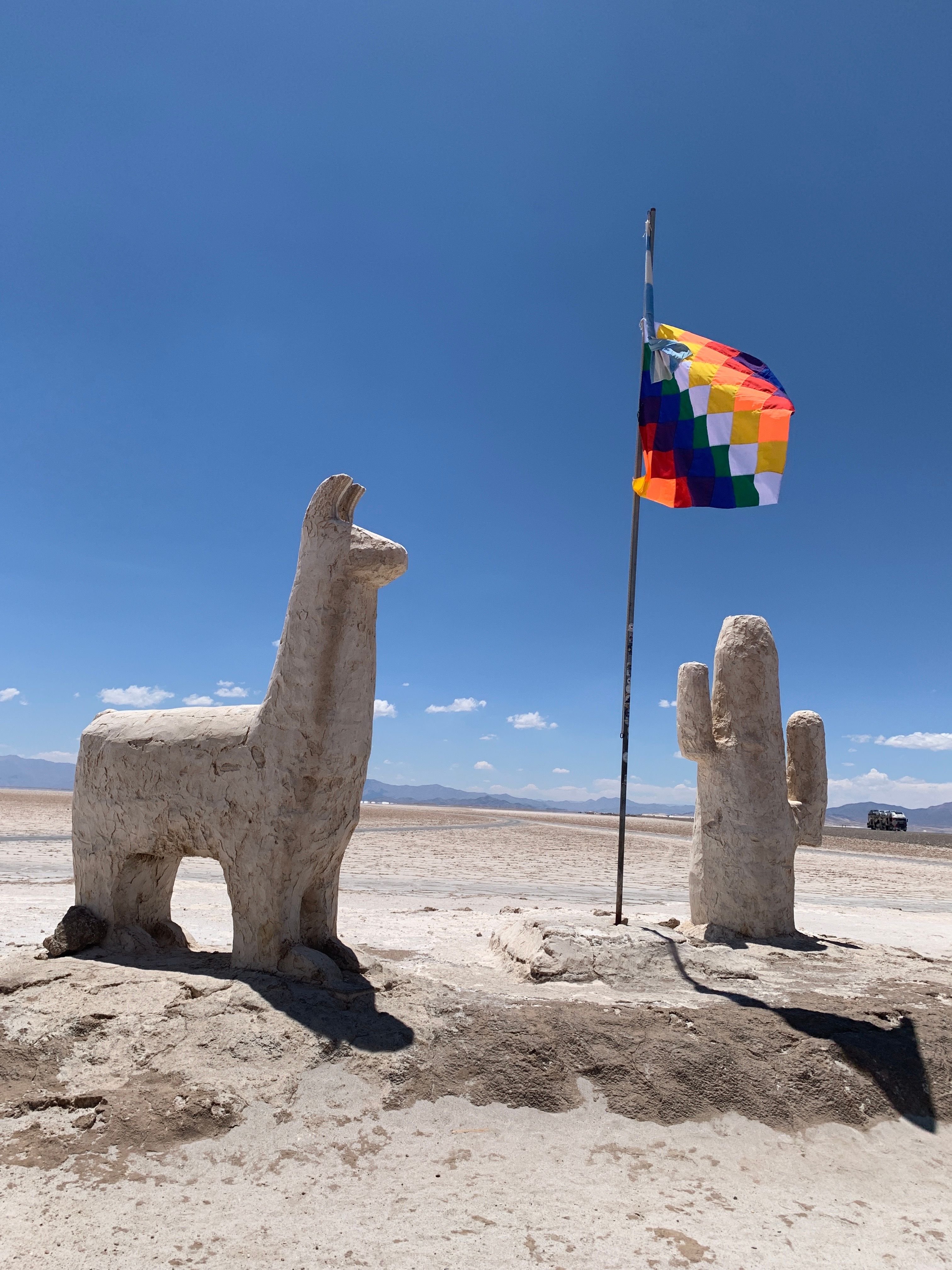 Statues of a Llama and a Cactus at Salinas Grandes, Jujuy and Salta ...