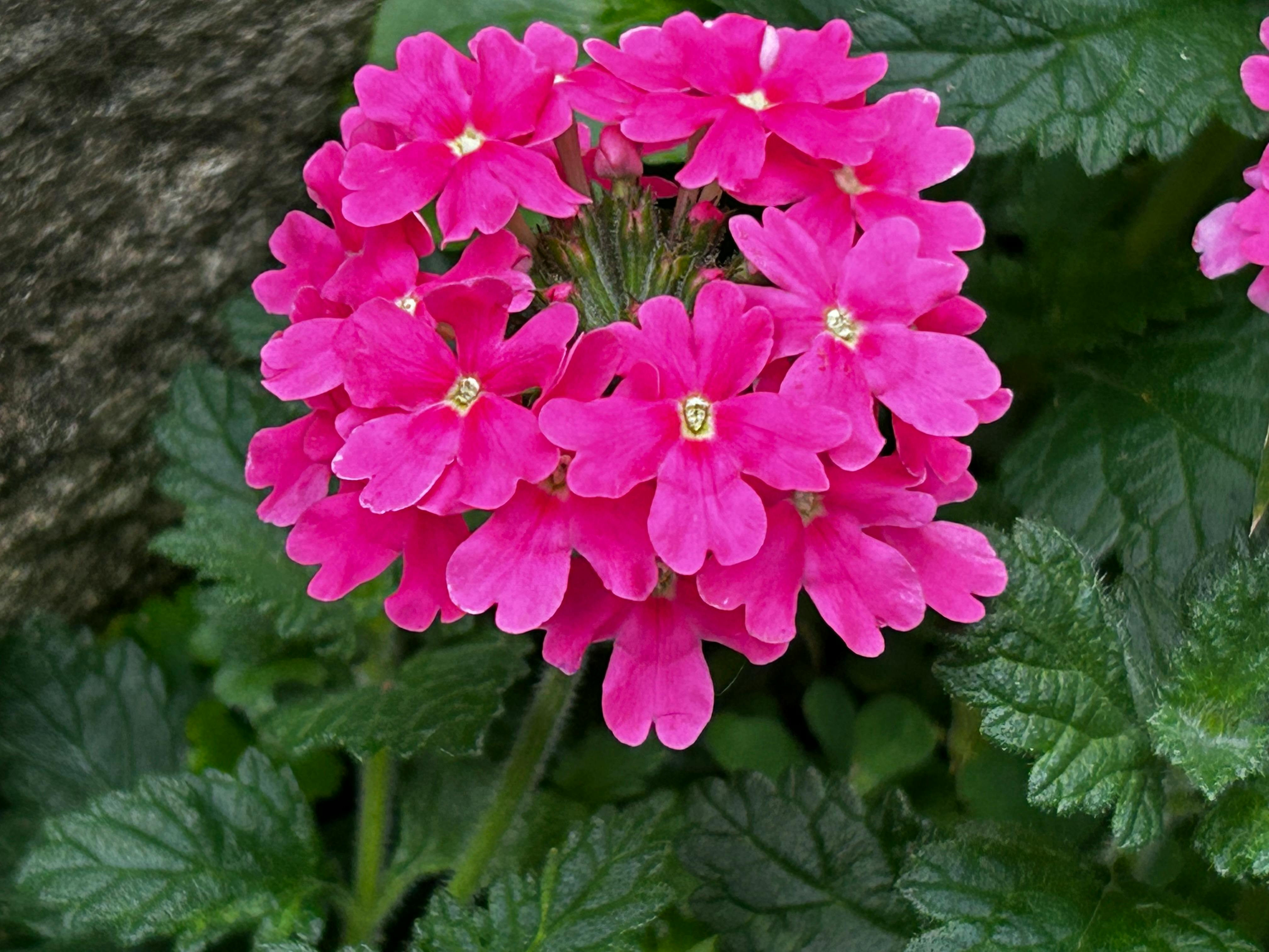 Catherine Huang - Photography