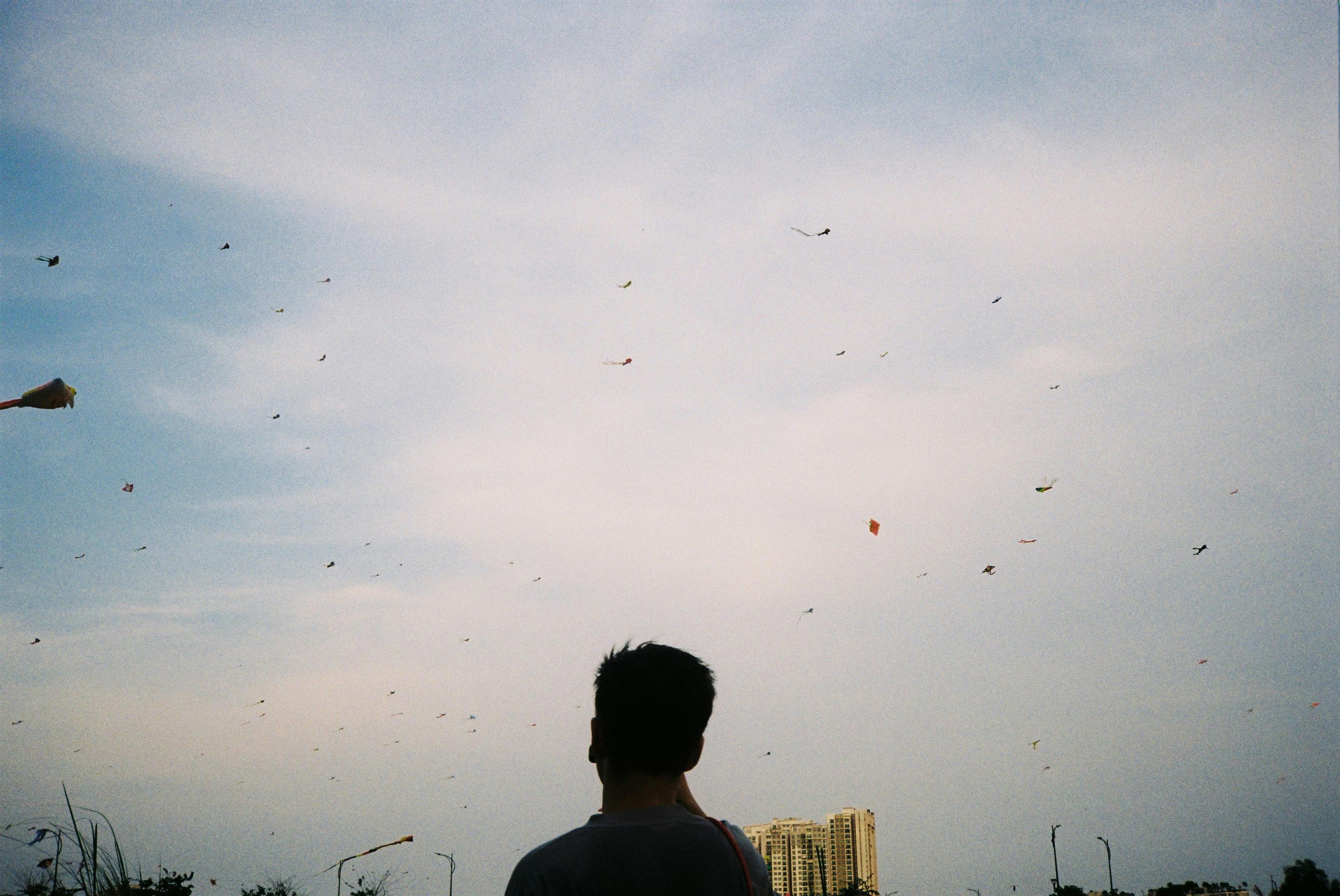 Girl Letting Bird Fly Away Photos, Download The BEST Free Girl Letting ...