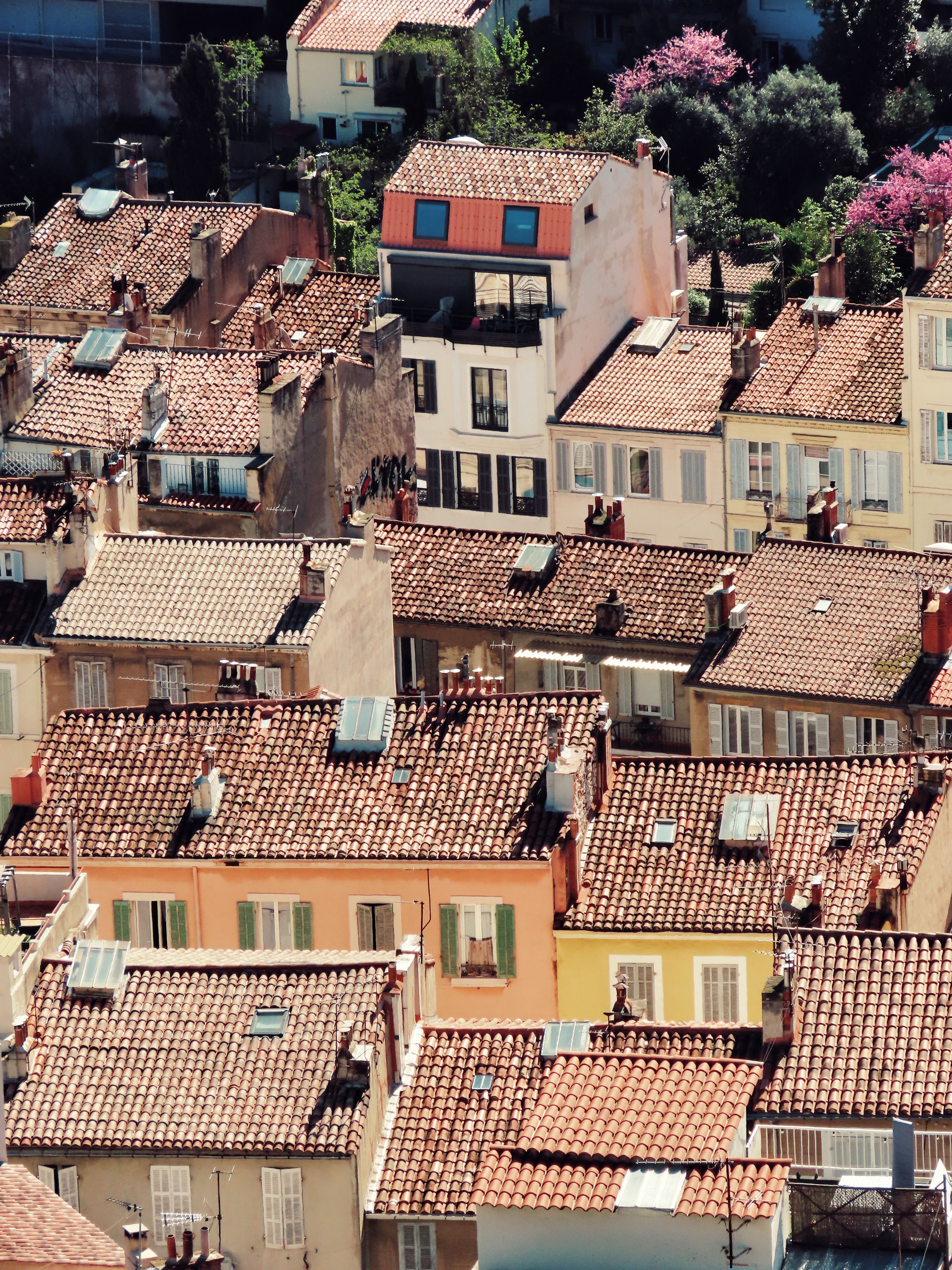 Rooftops of Urban Residential Buildings · Free Stock Photo