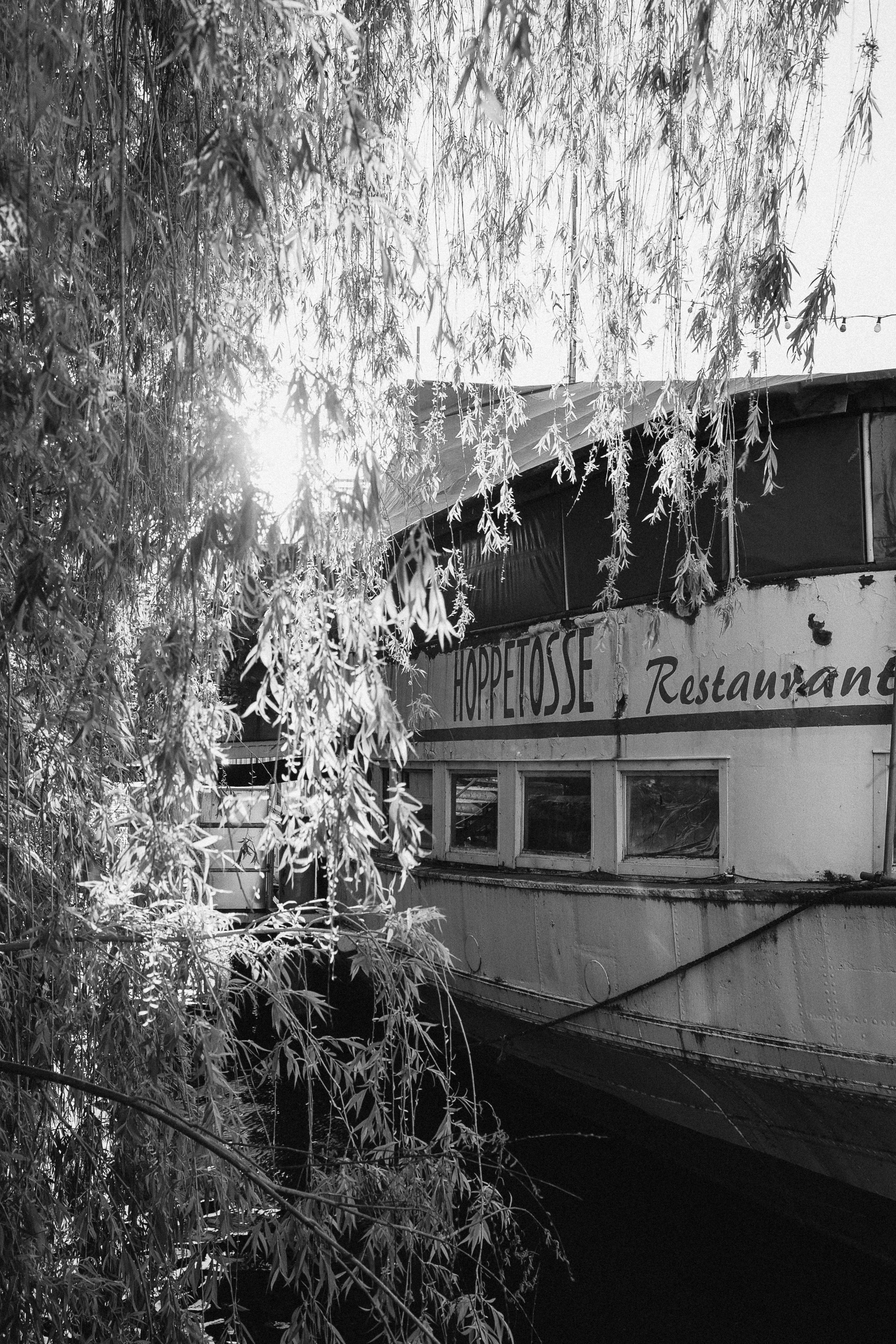 A boat docked under a willow tree · Free Stock Photo