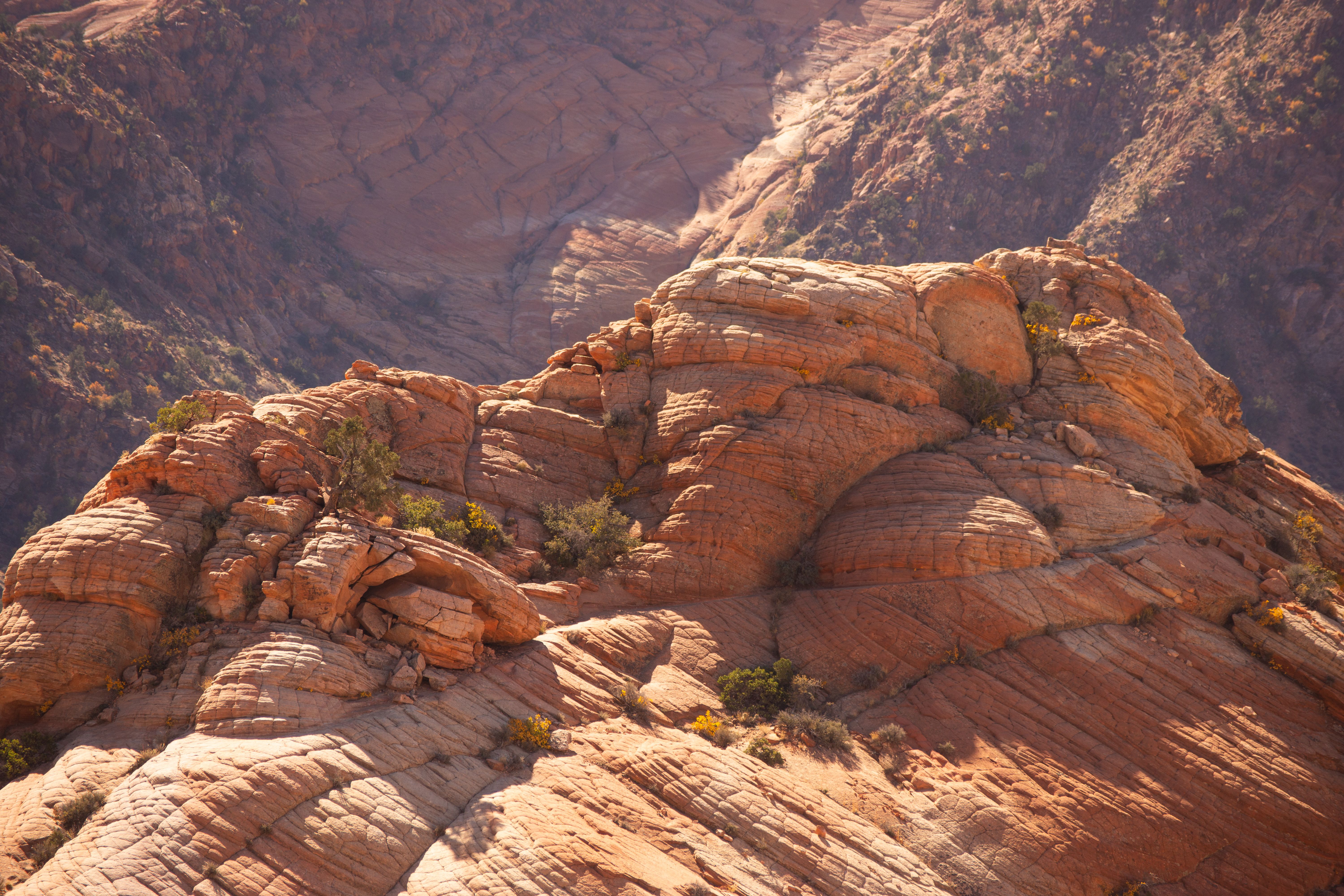 Rock Formation in a Canyon · Free Stock Photo