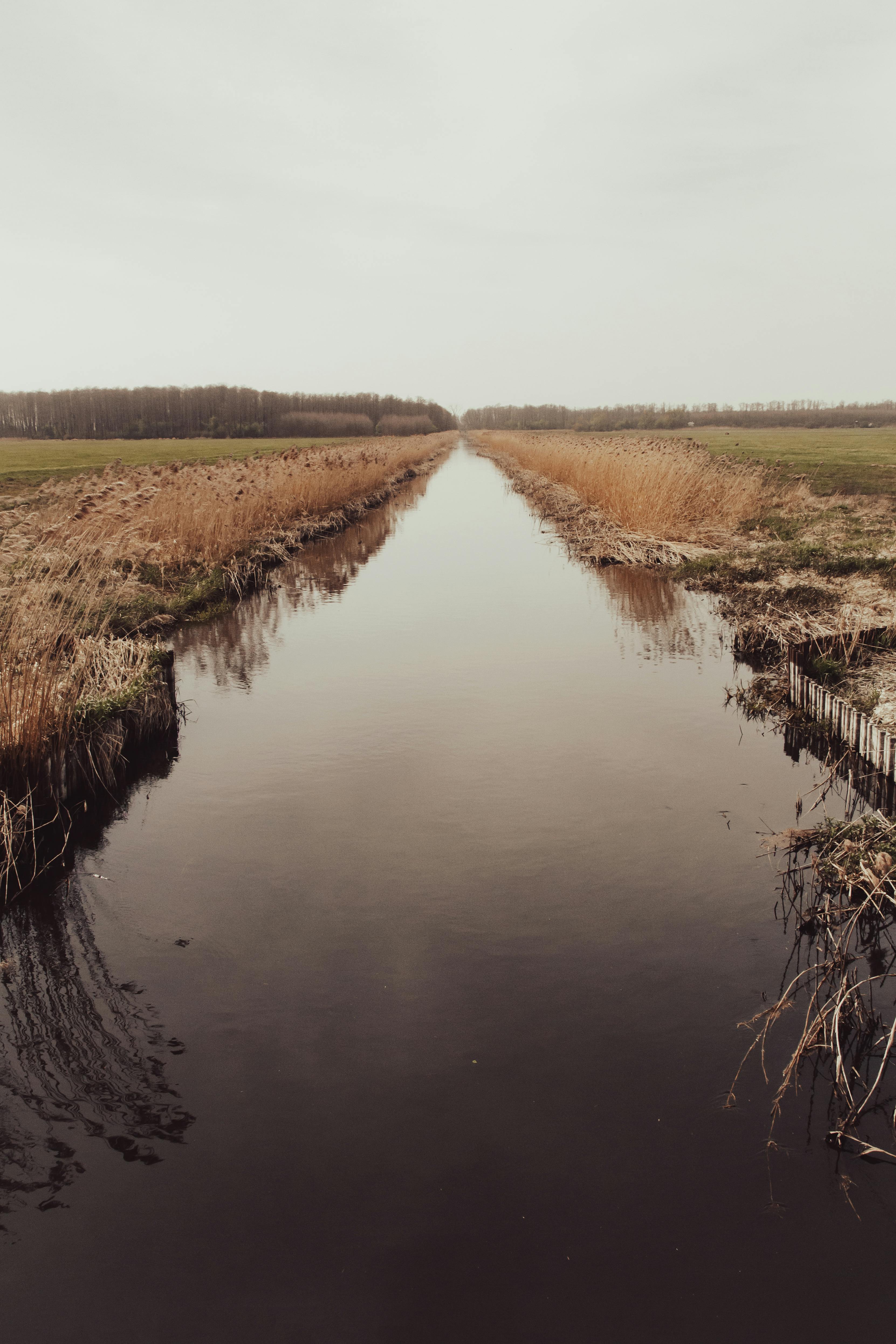 rzeka Bzura · Free Stock Photo