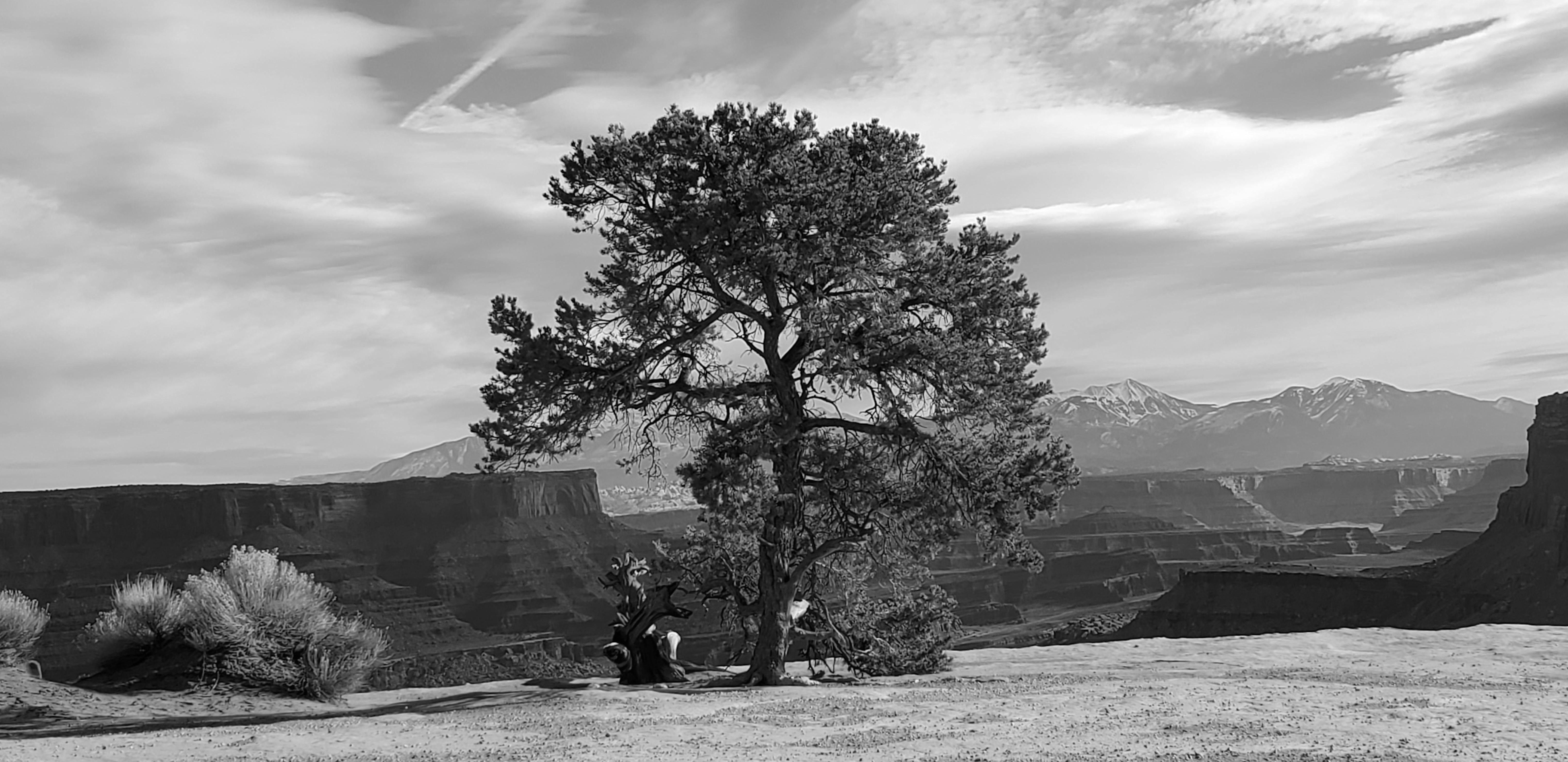 Rock Pifer - Photography