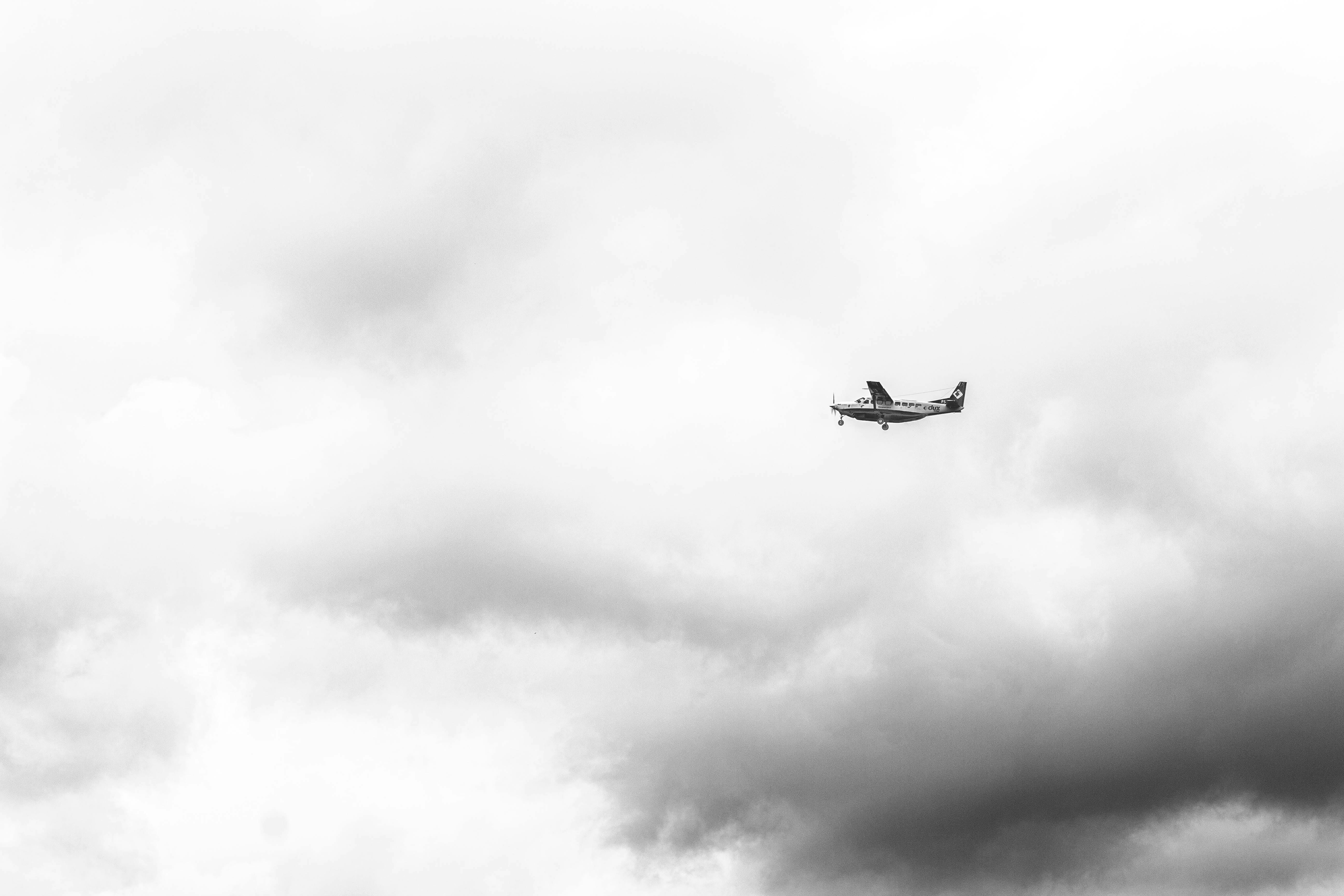 Leandro Paes Leme - 사진