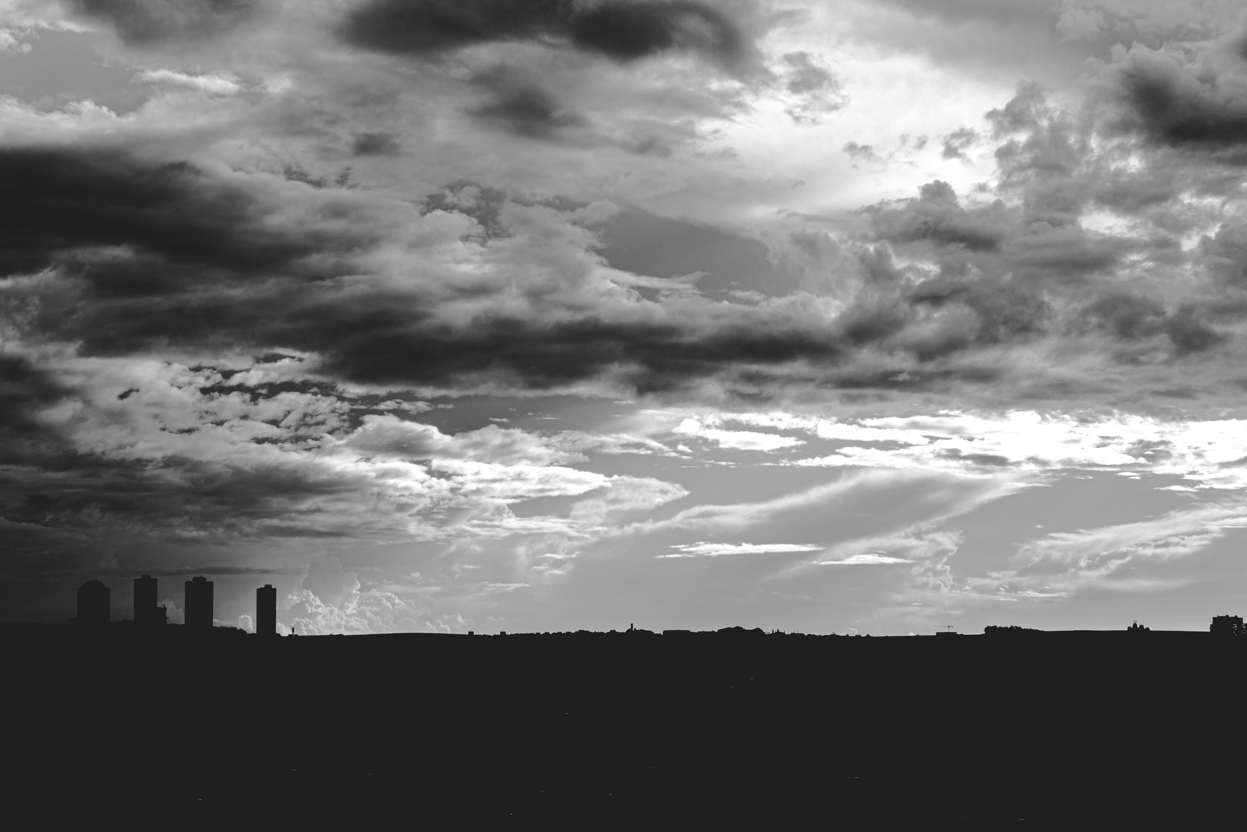 Leandro Paes Leme - 사진