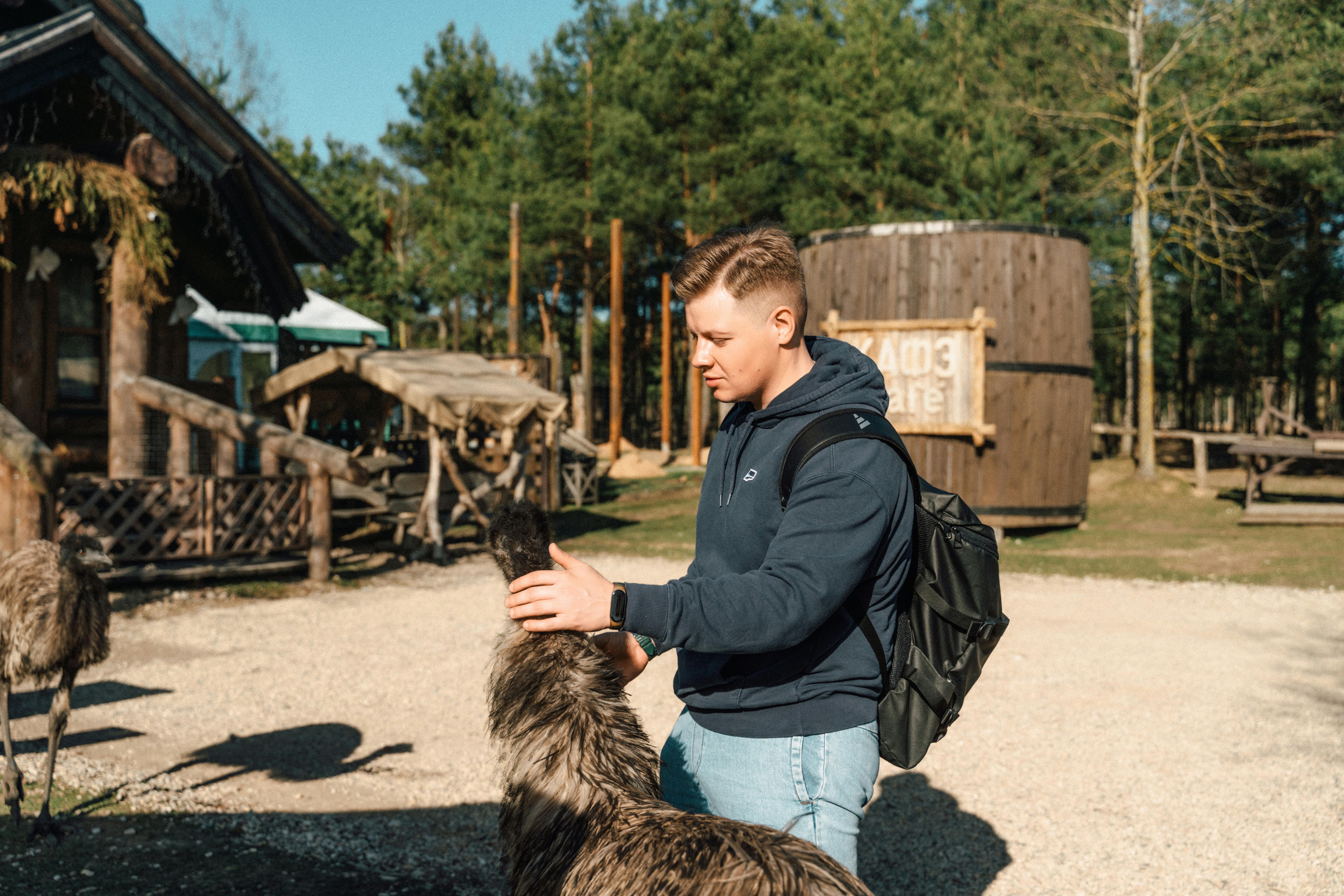 Man Petting an Ostrich · Free Stock Photo