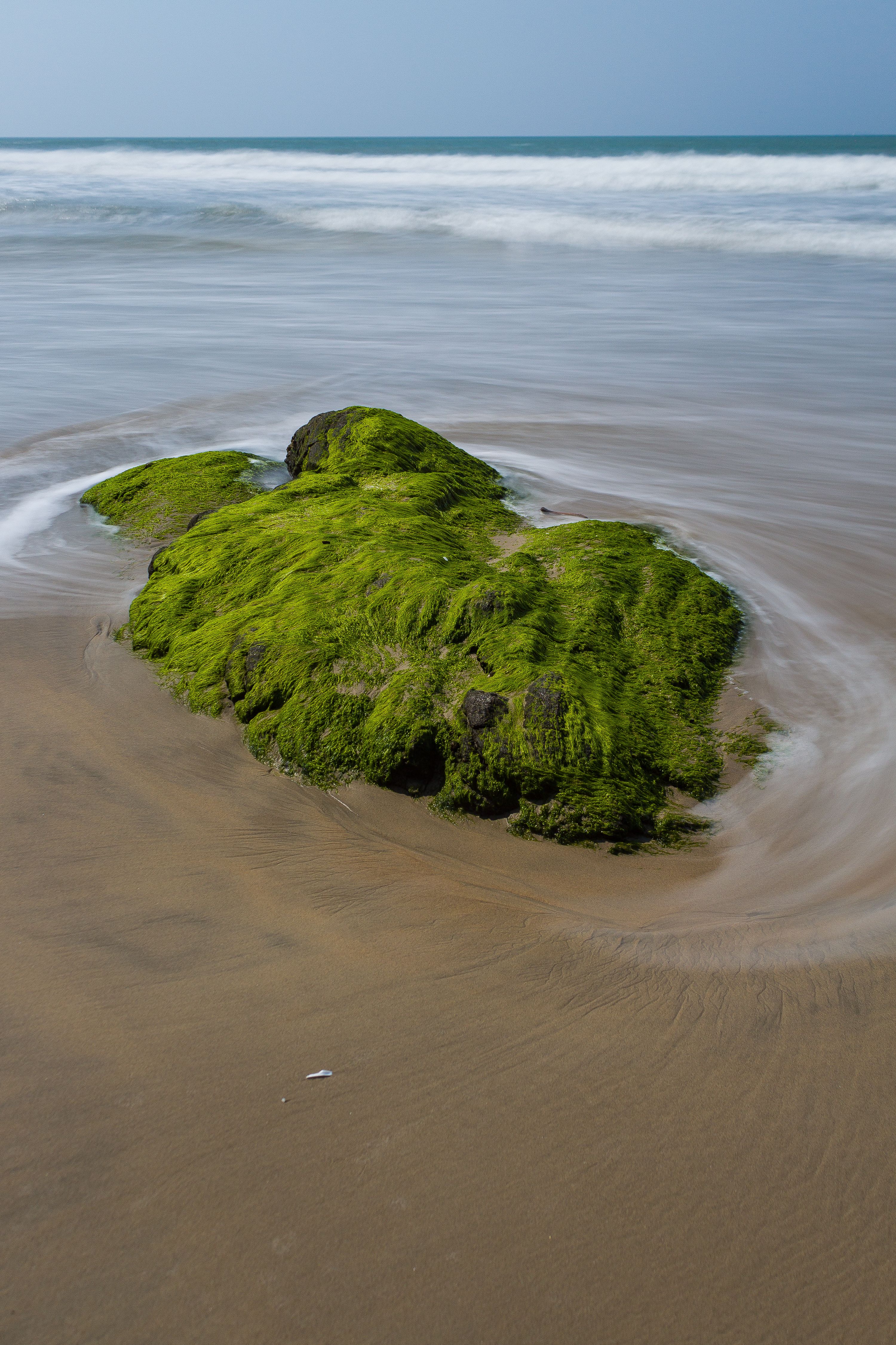 Stone Covered with Moss by the Sea · Free Stock Photo