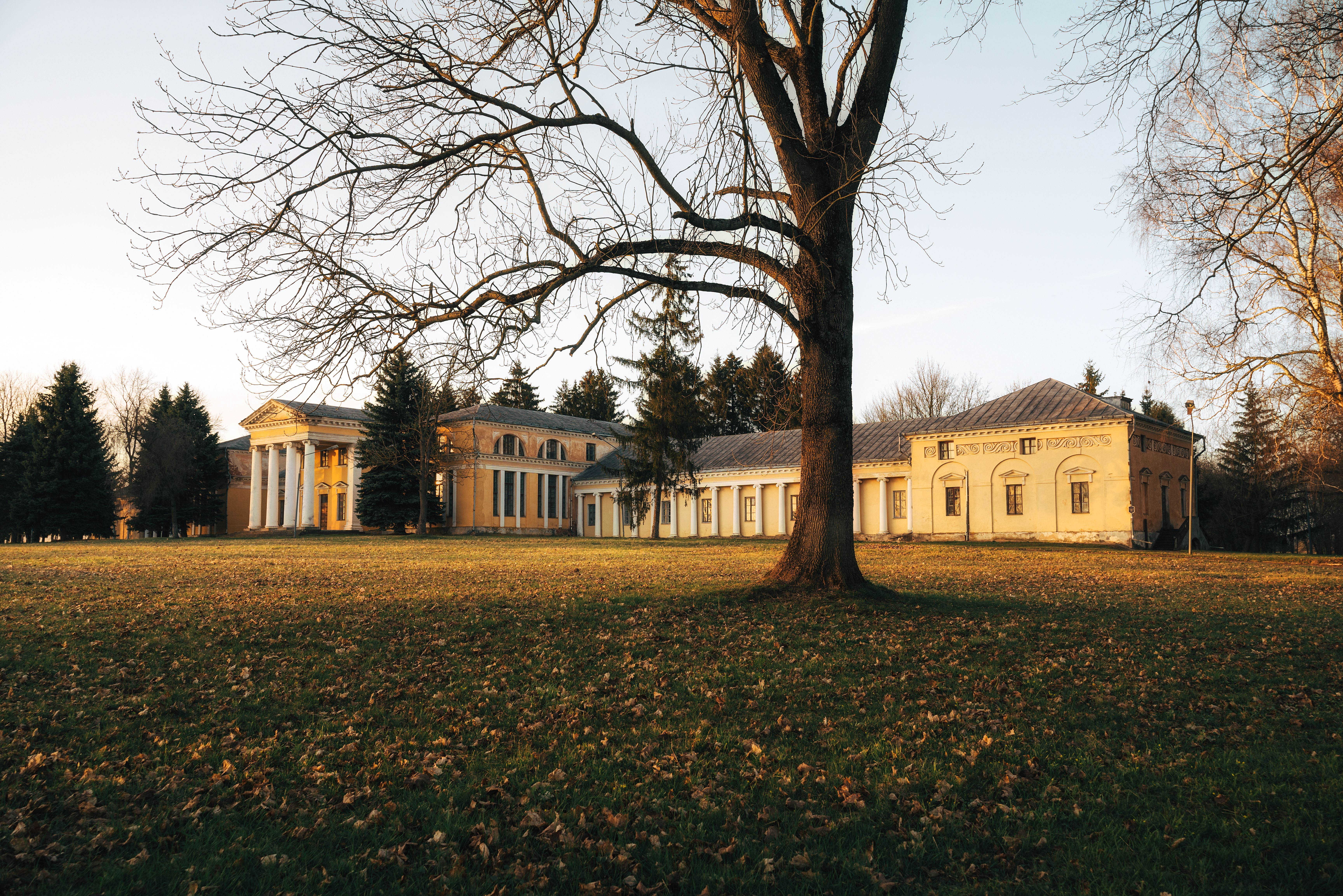 Tree in Front of a Mansion in Fall · Free Stock Photo