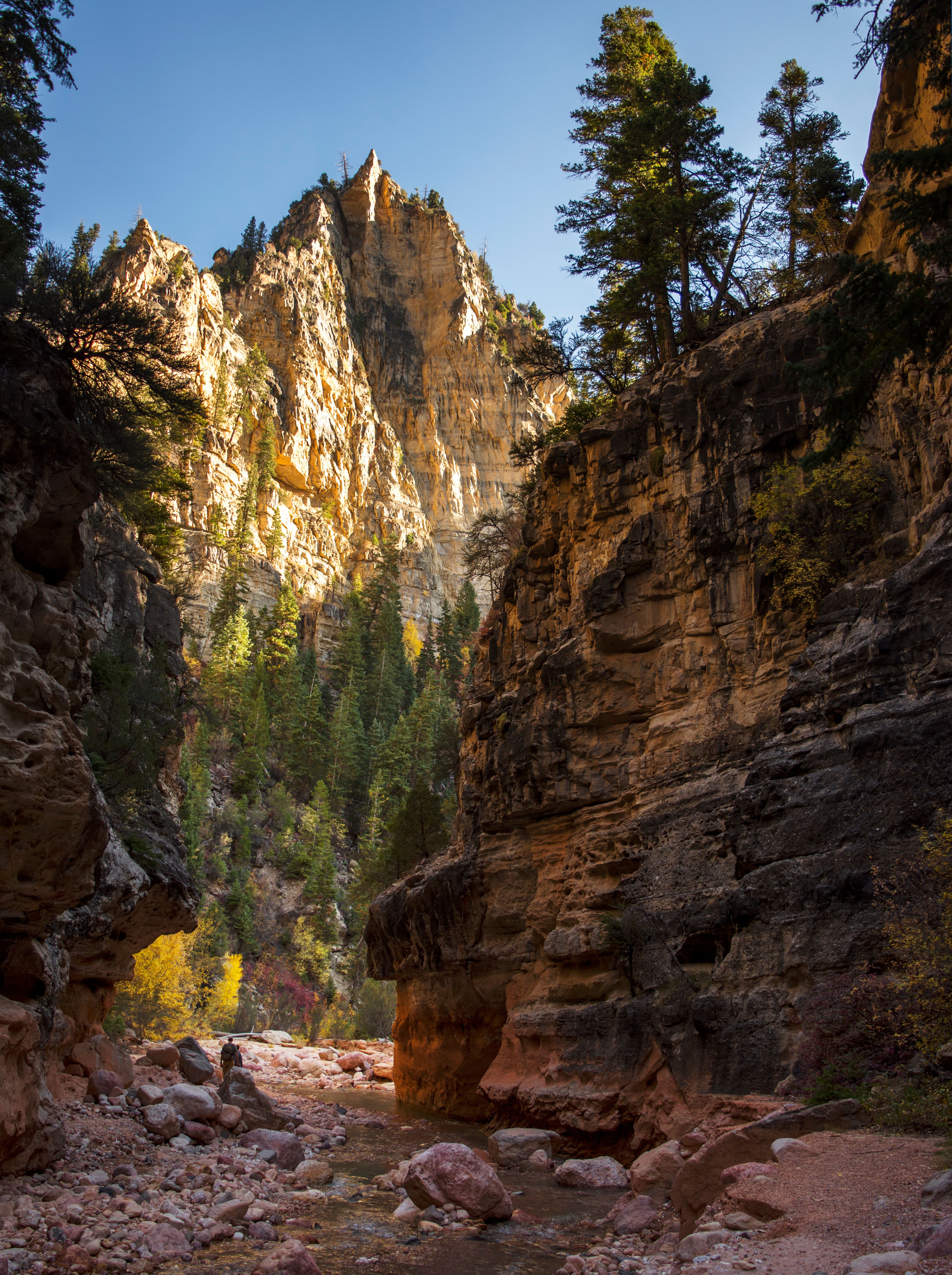 Canyon in Utah · Free Stock Photo