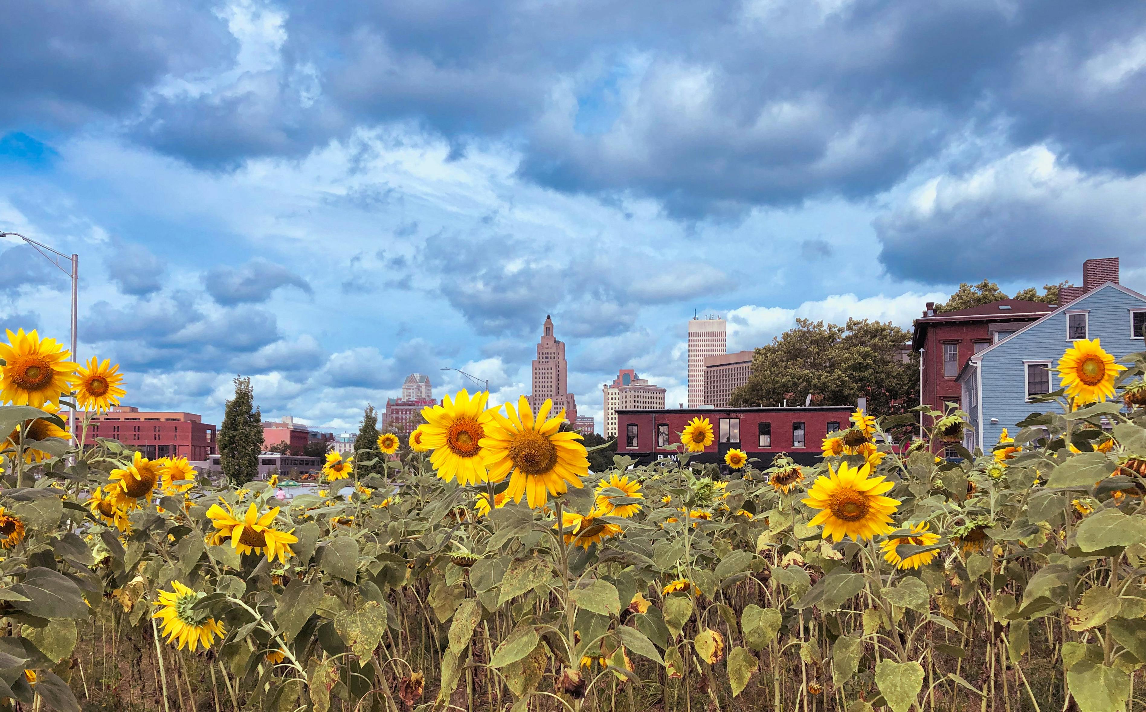 Catherine Dempsey - 攝影