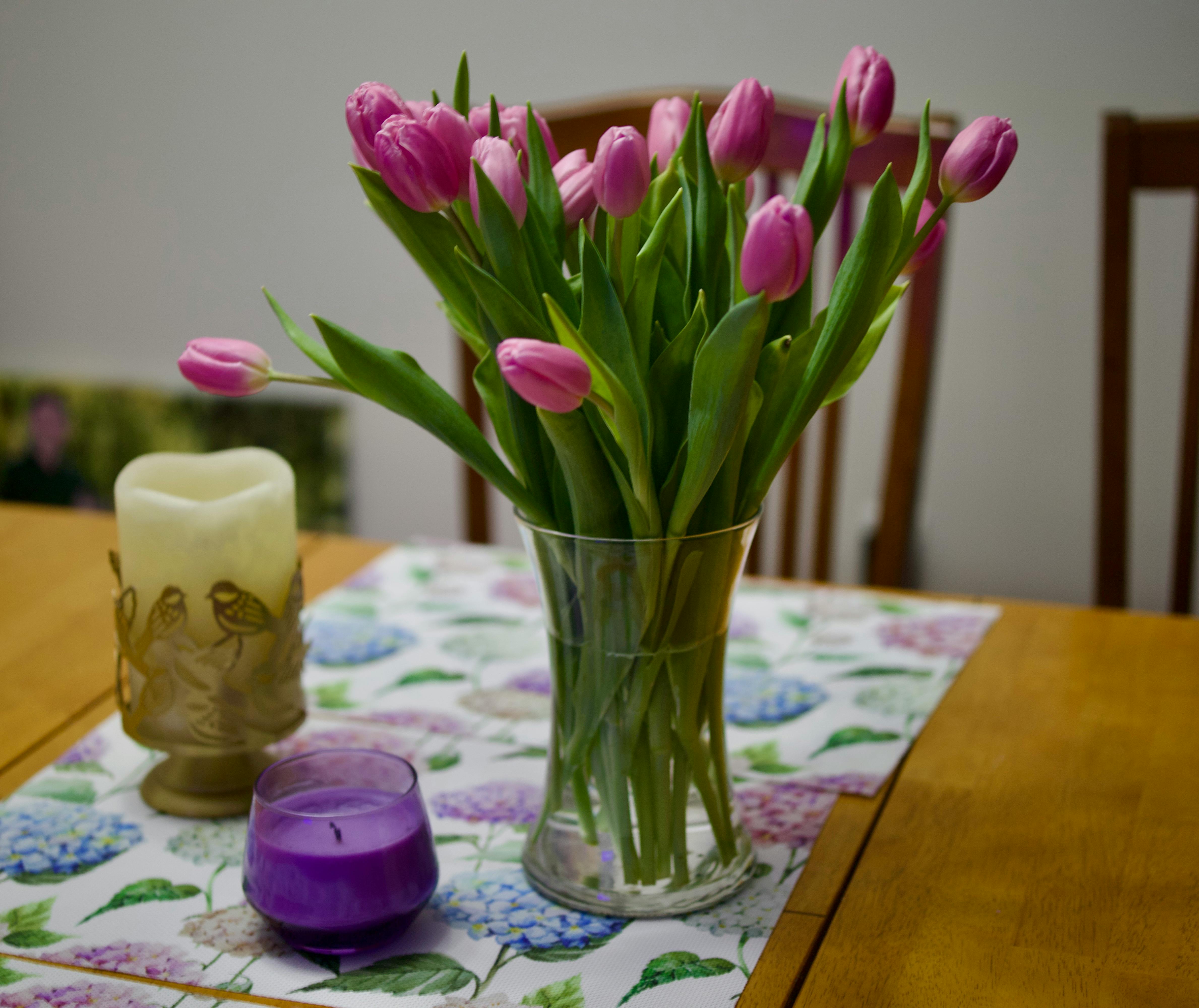 Catherine Dempsey - 攝影