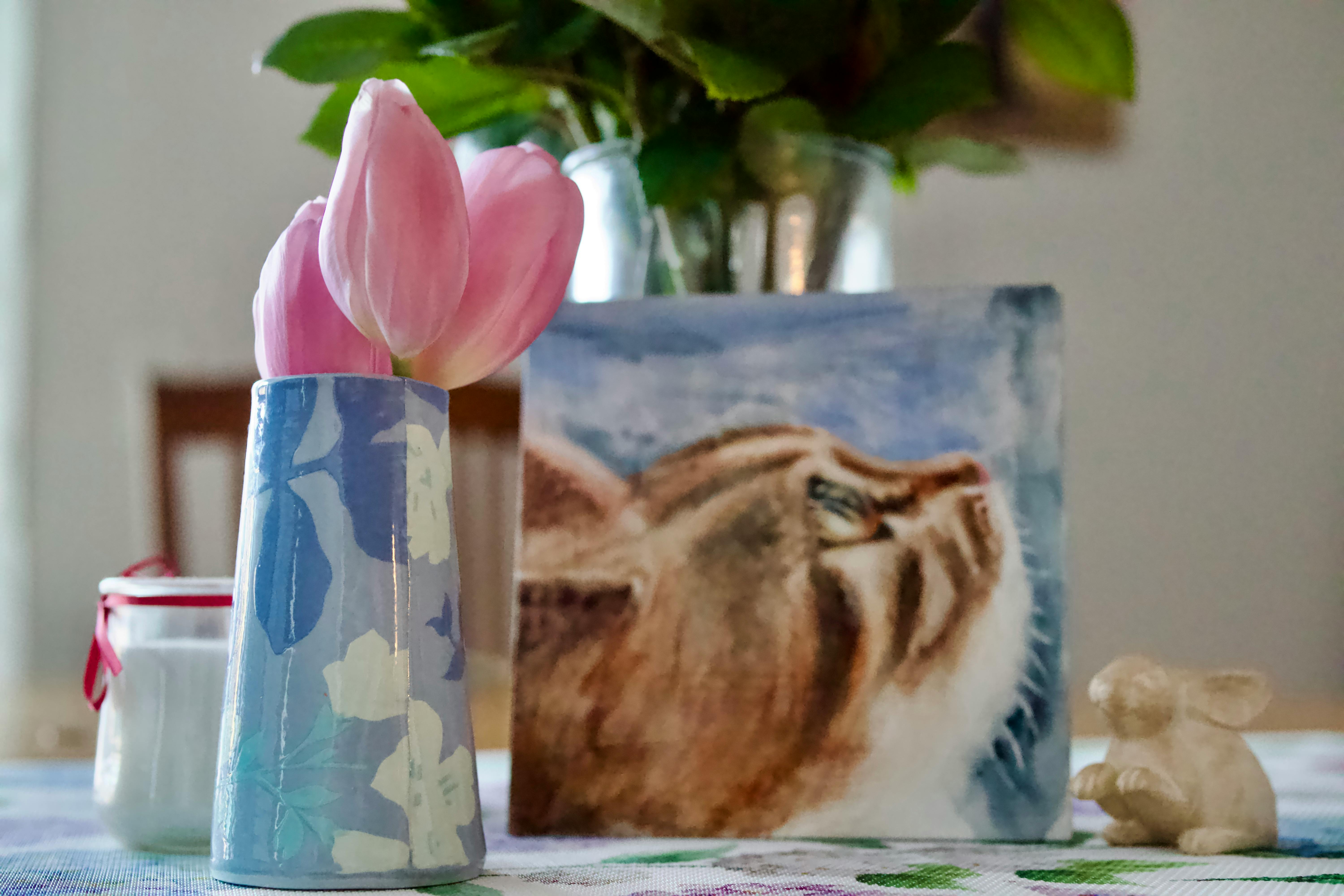 Catherine Dempsey - 攝影