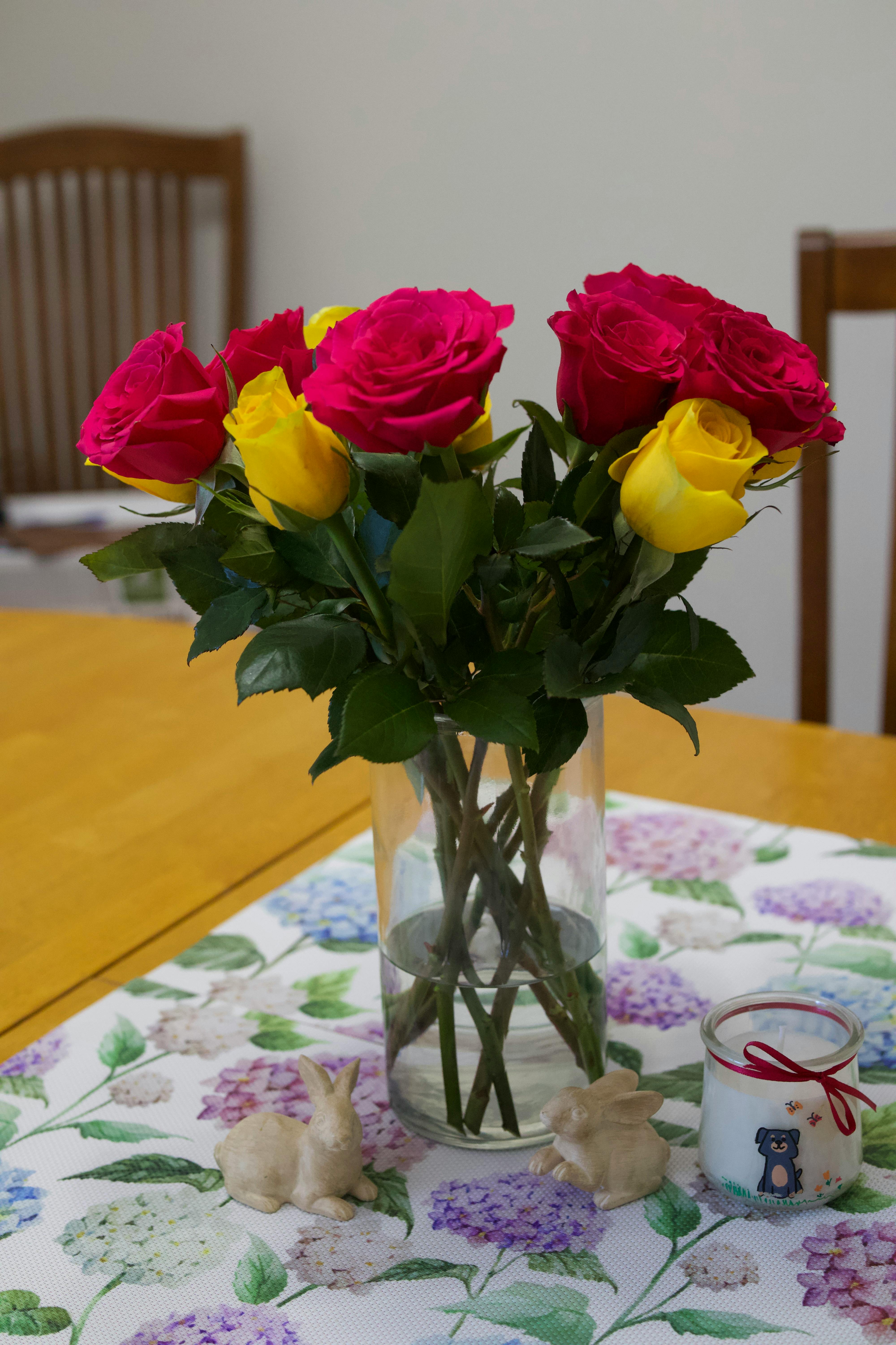 Catherine Dempsey - 攝影