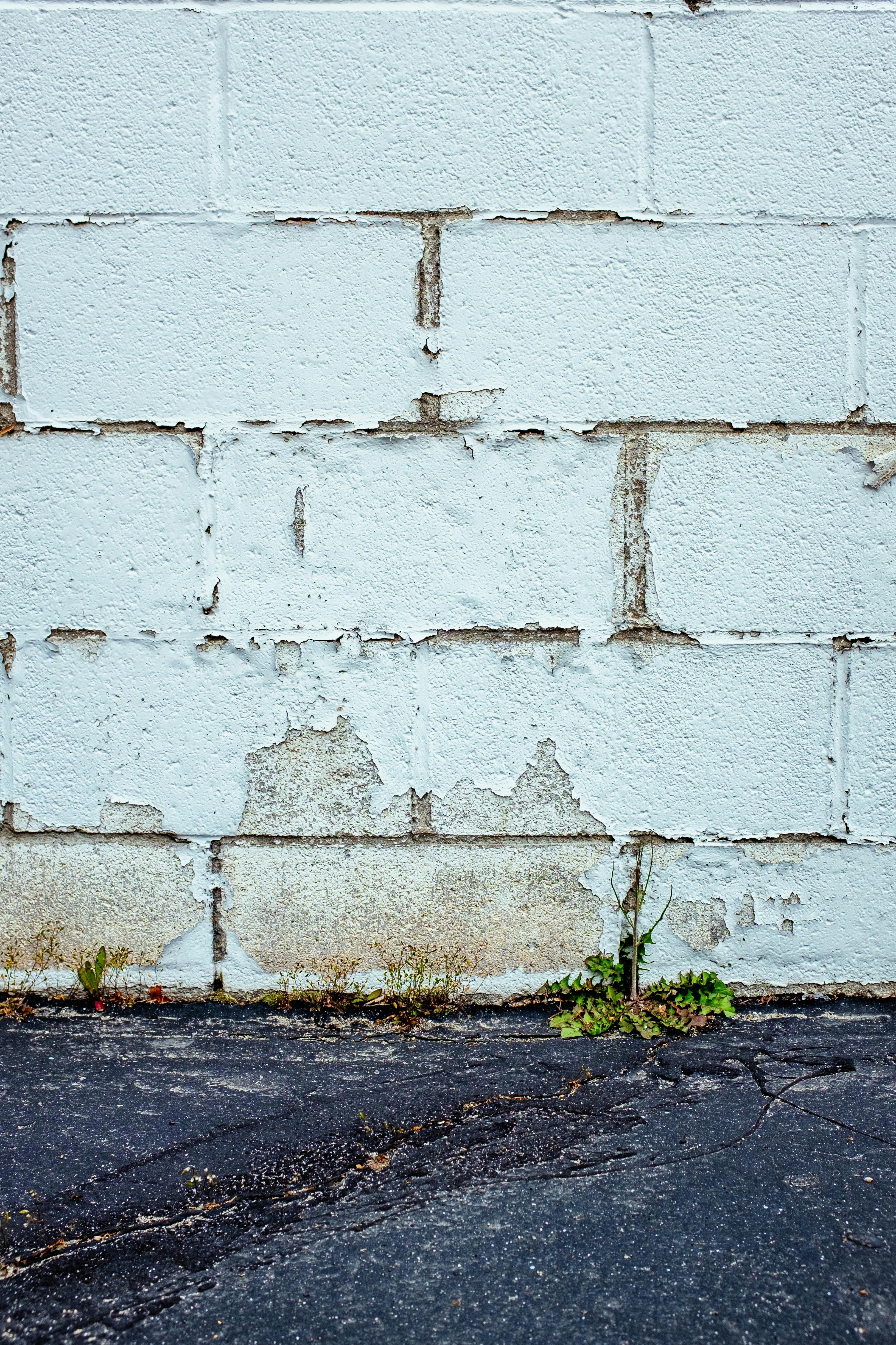 Cinder Blocks Photos, Download The BEST Free Cinder Blocks Stock Photos ...