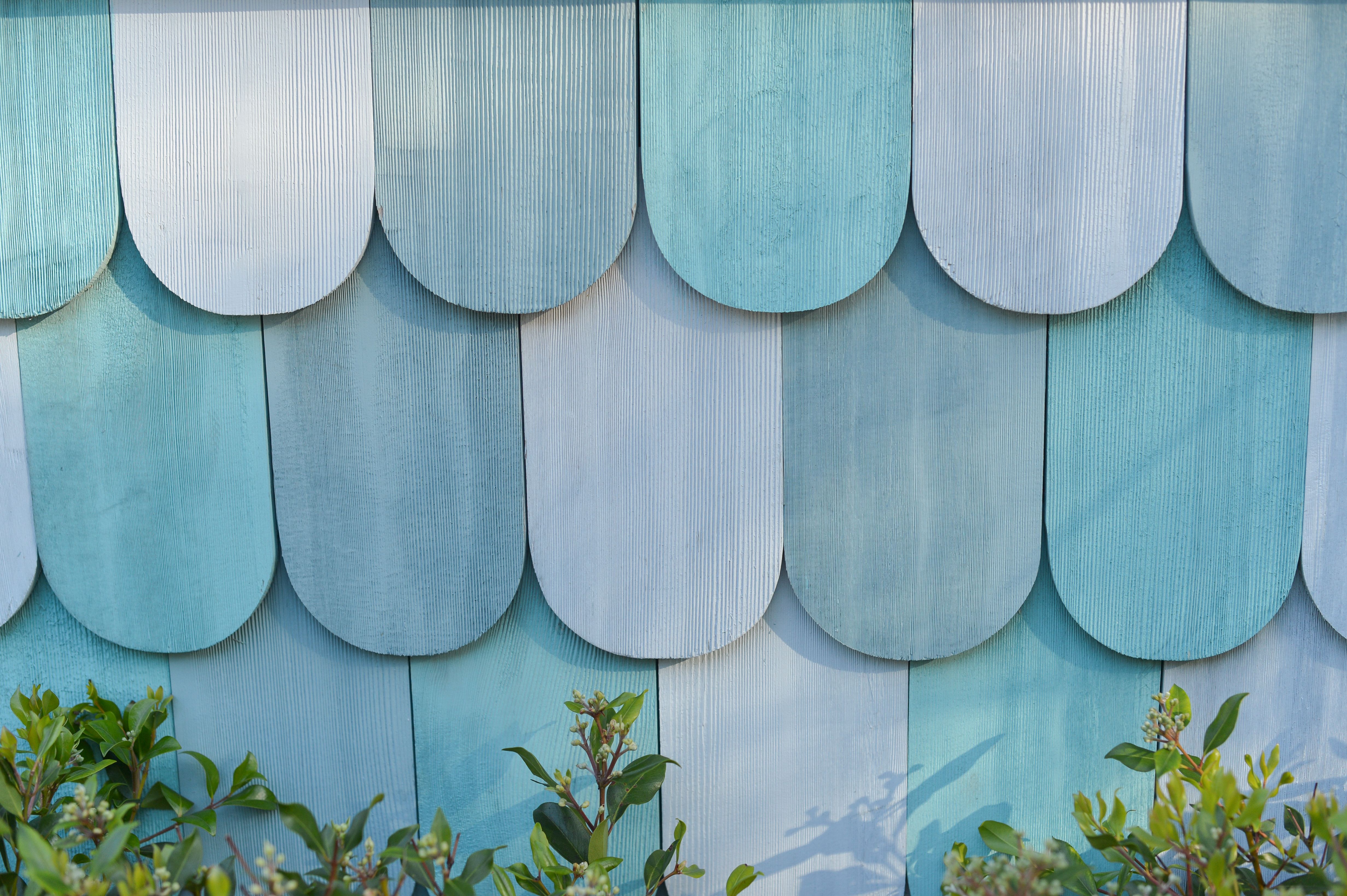 A blue and white shingle roof with plants · Free Stock Photo