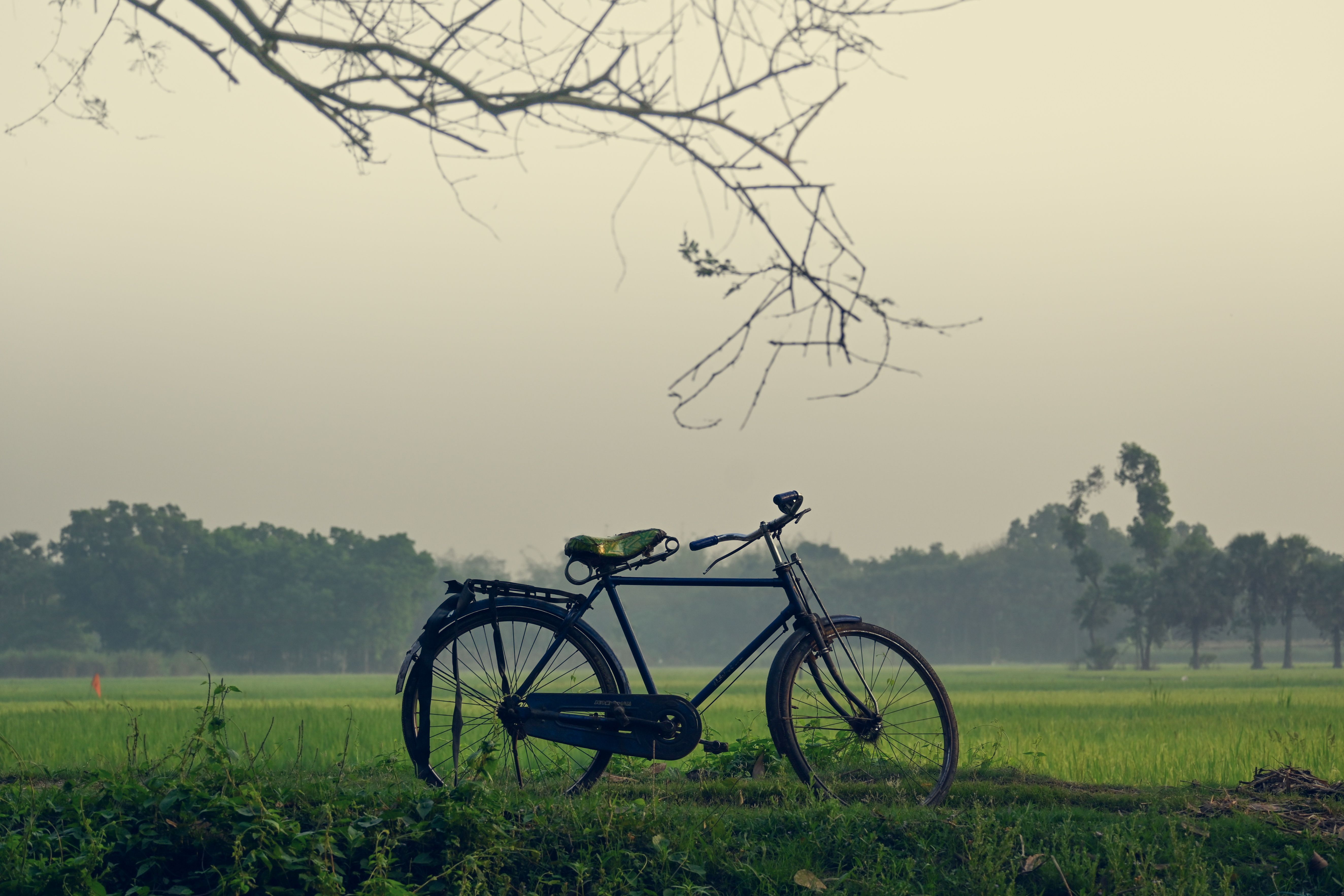 Bicycle on Field · Free Stock Photo